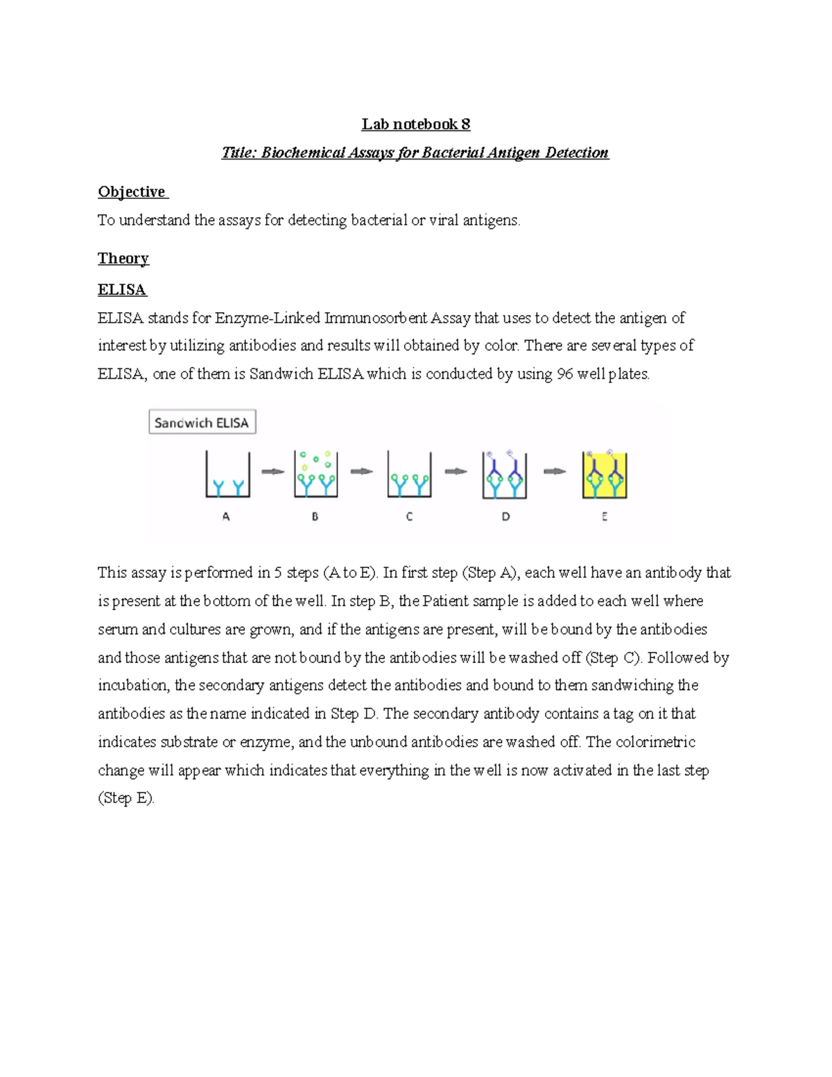 Biochemical Assays for Antigen Detection: Lab Notebook 8 - Studocu
