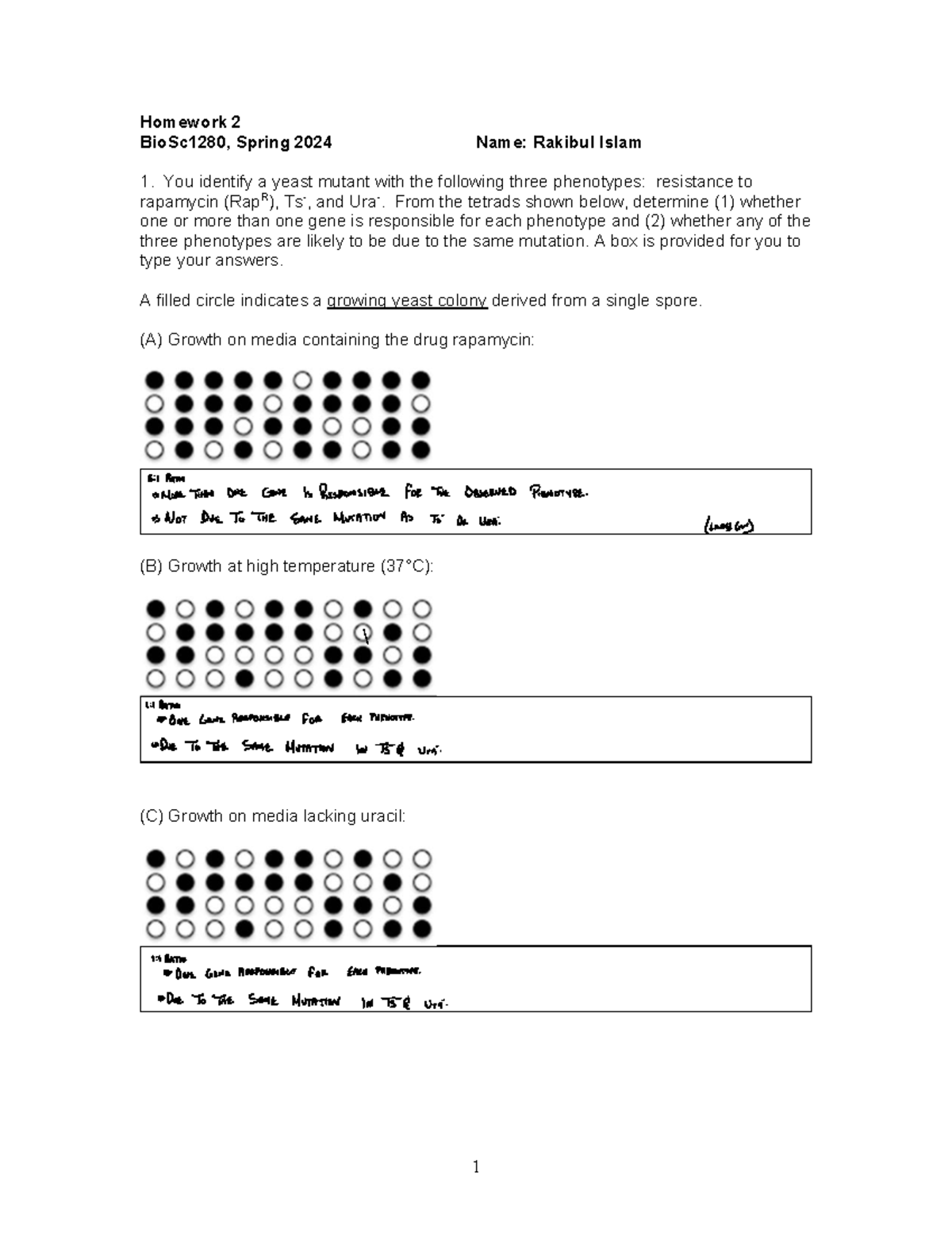 Homework 2 BioSc1280: Yeast Mutant Analysis & Tetrad Segregation - Studocu