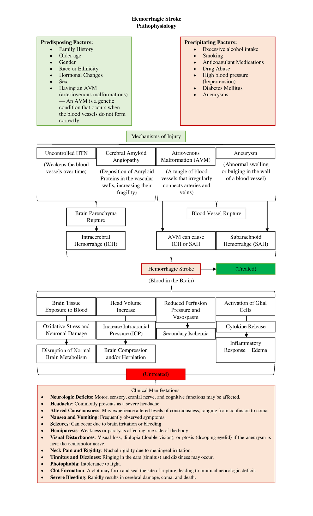 Hemorrhagic Stroke Pathophysiology: Key Factors and Clinical ...