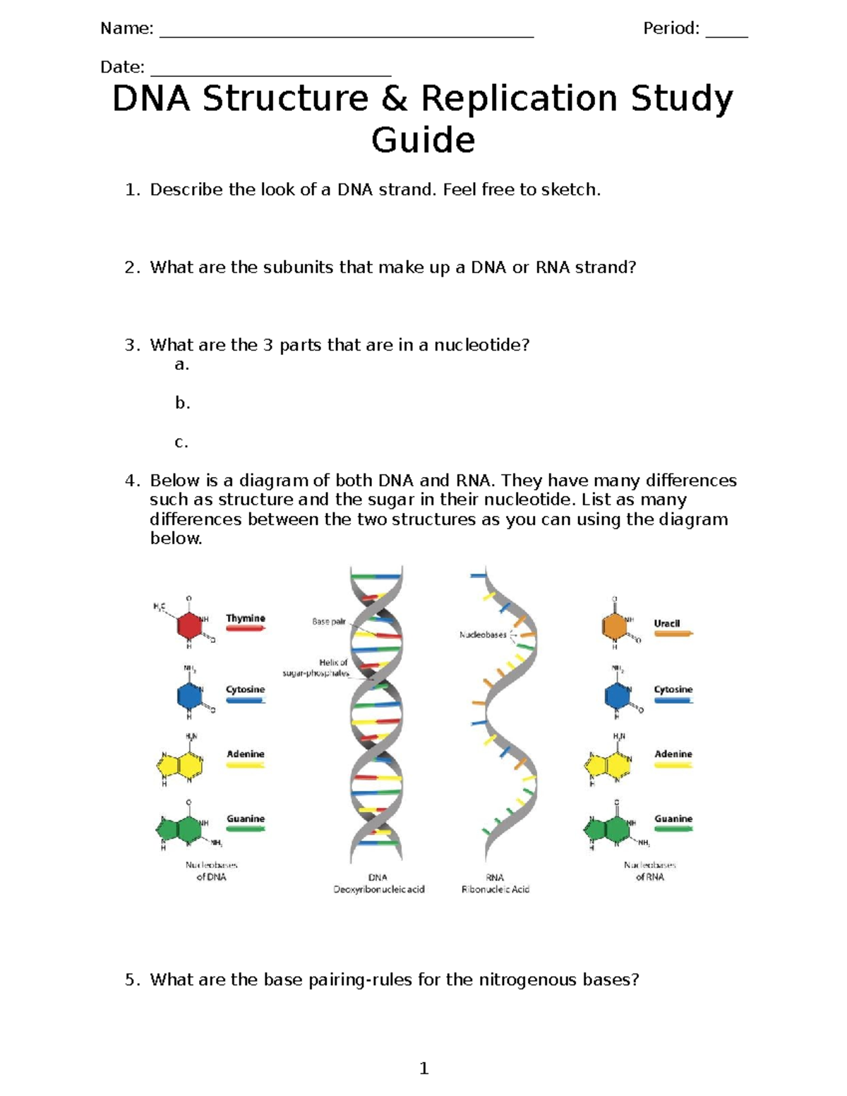 DNA Structure & Replication Study Guide - Name