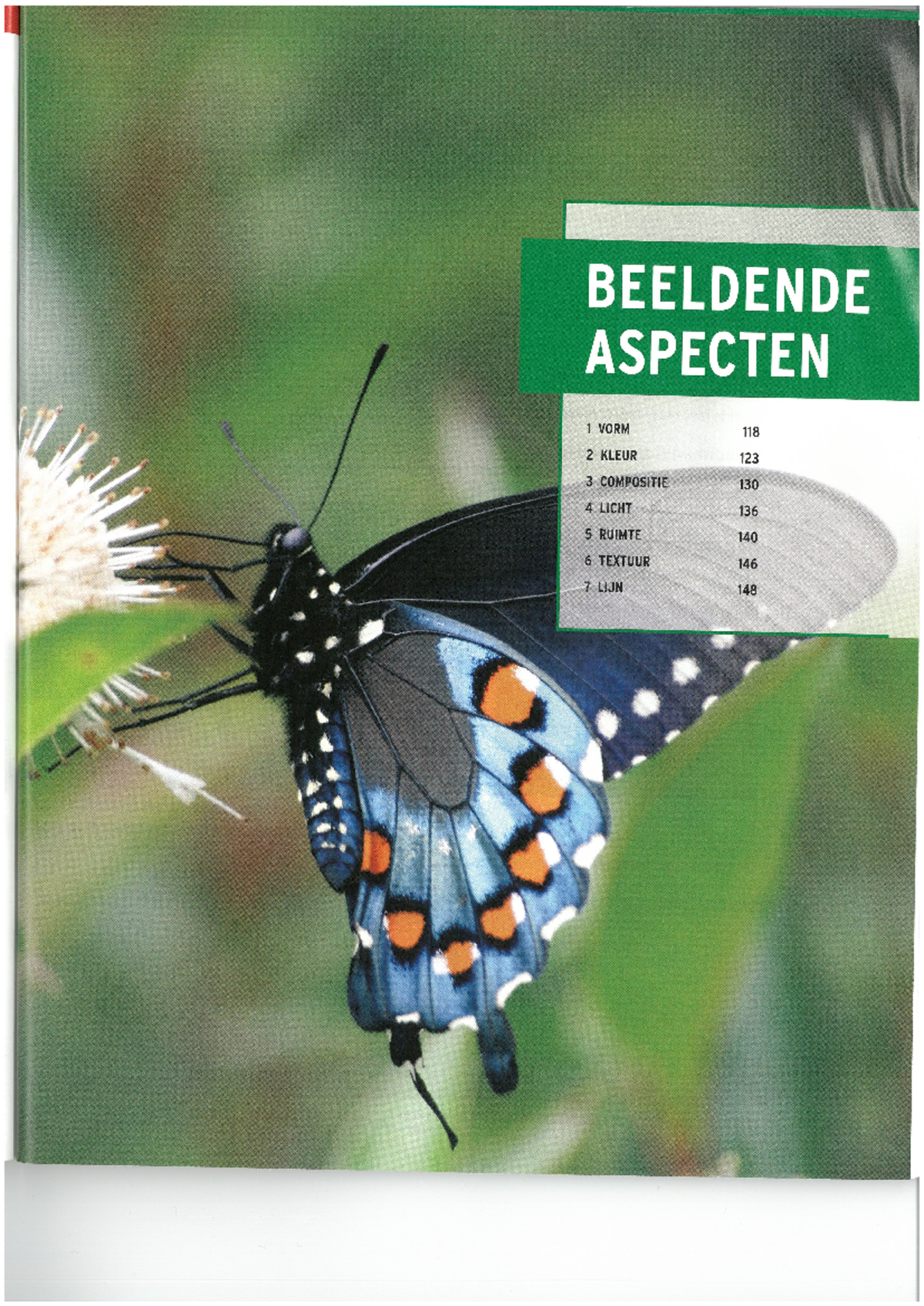 1. VORM: Beeldende Aspecten in de Kunst en Vormgeving - Studeersnel