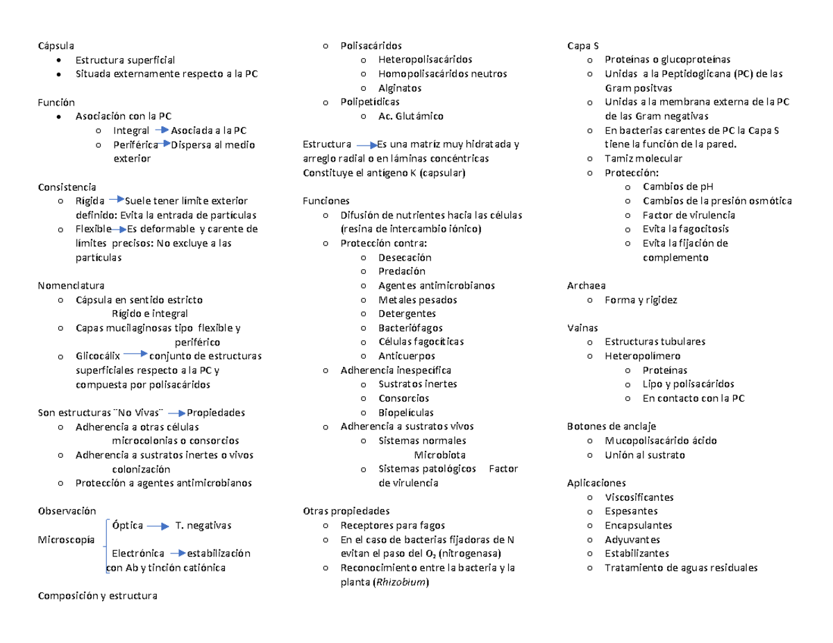 Estructura y Funciones de la Cápsula en Bacterias - C-psula - Studocu