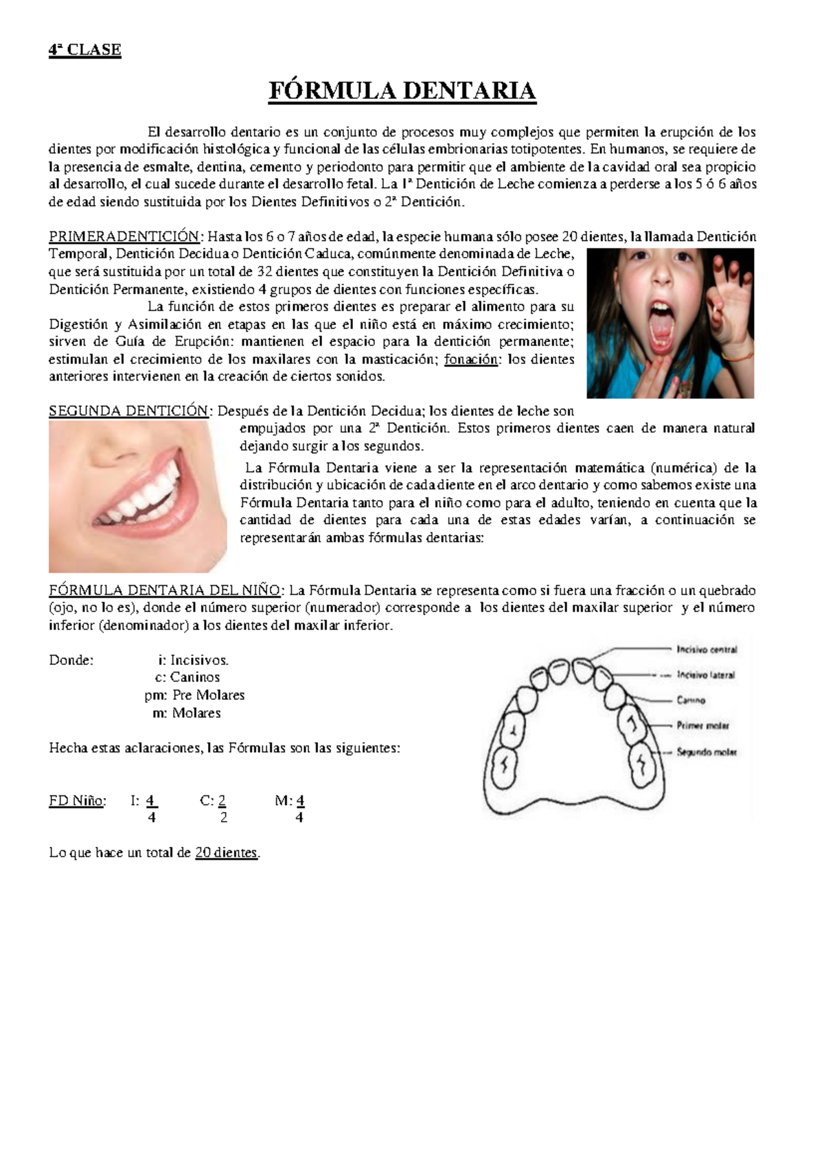 4ª Clase PDF - Fórmulas Dentarias y Componentes de la Cavidad Bucal ...