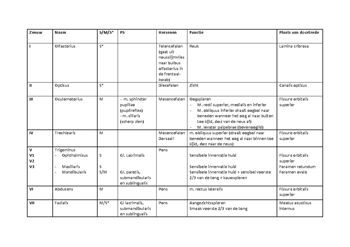 Meningen - 05 - anatomie - Neuroanatomie 05 – meninges Meninges ...