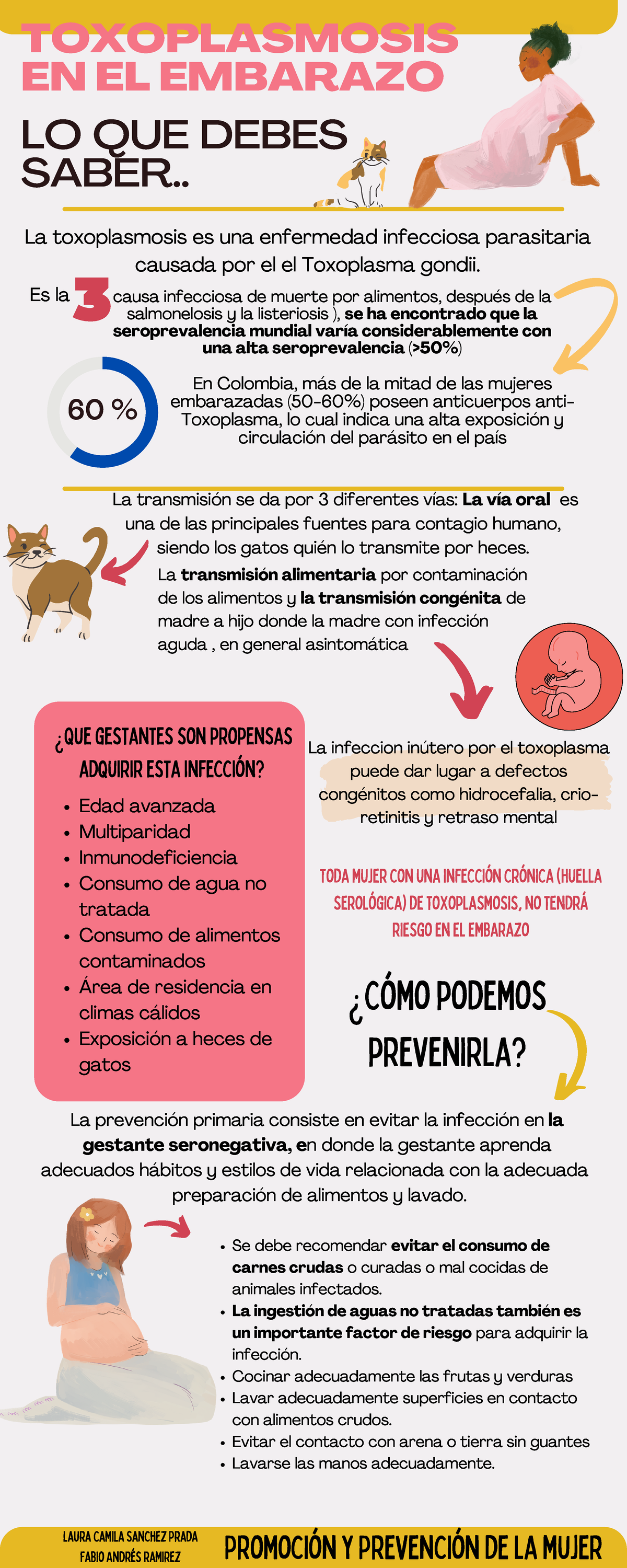 Infografia Toxoplasmosis - TOXOPLASMOSIS EN EL EMBARAZO LO QUE DEBES SABER.. 60 % La ...