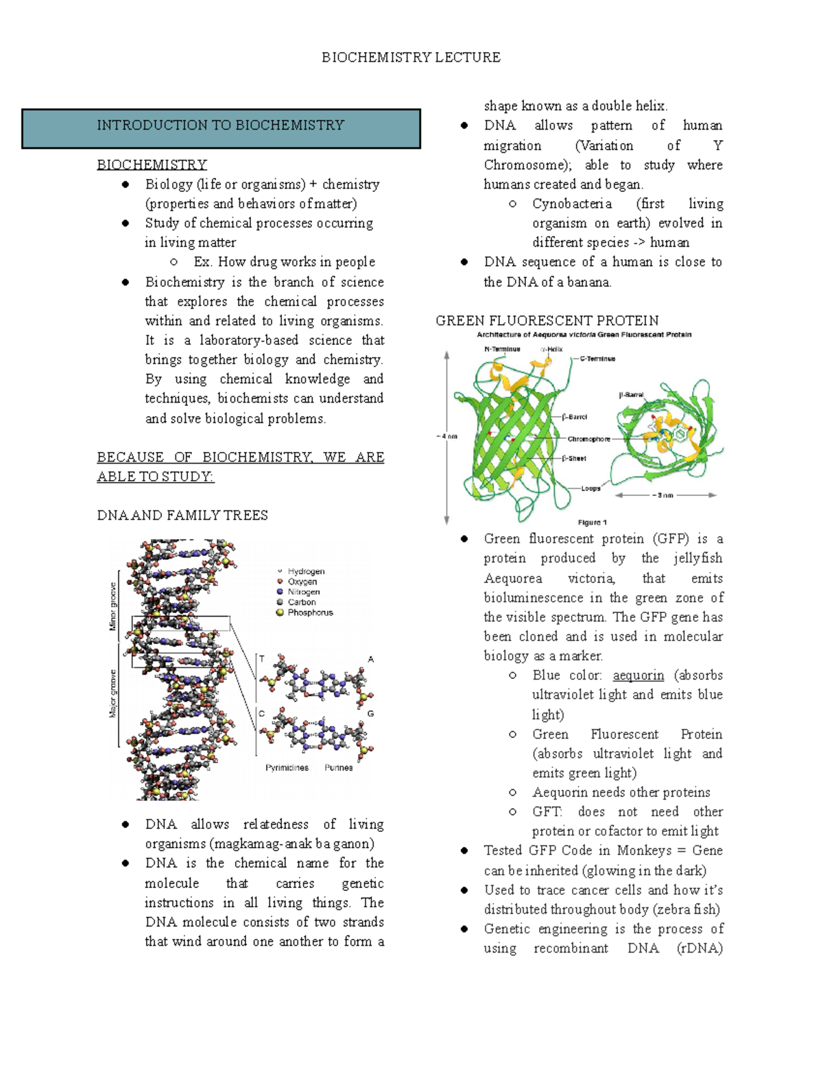 Biochemistry Lecture - INTRODUCTION TO BIOCHEMISTRY BIOCHEMISTRY ...