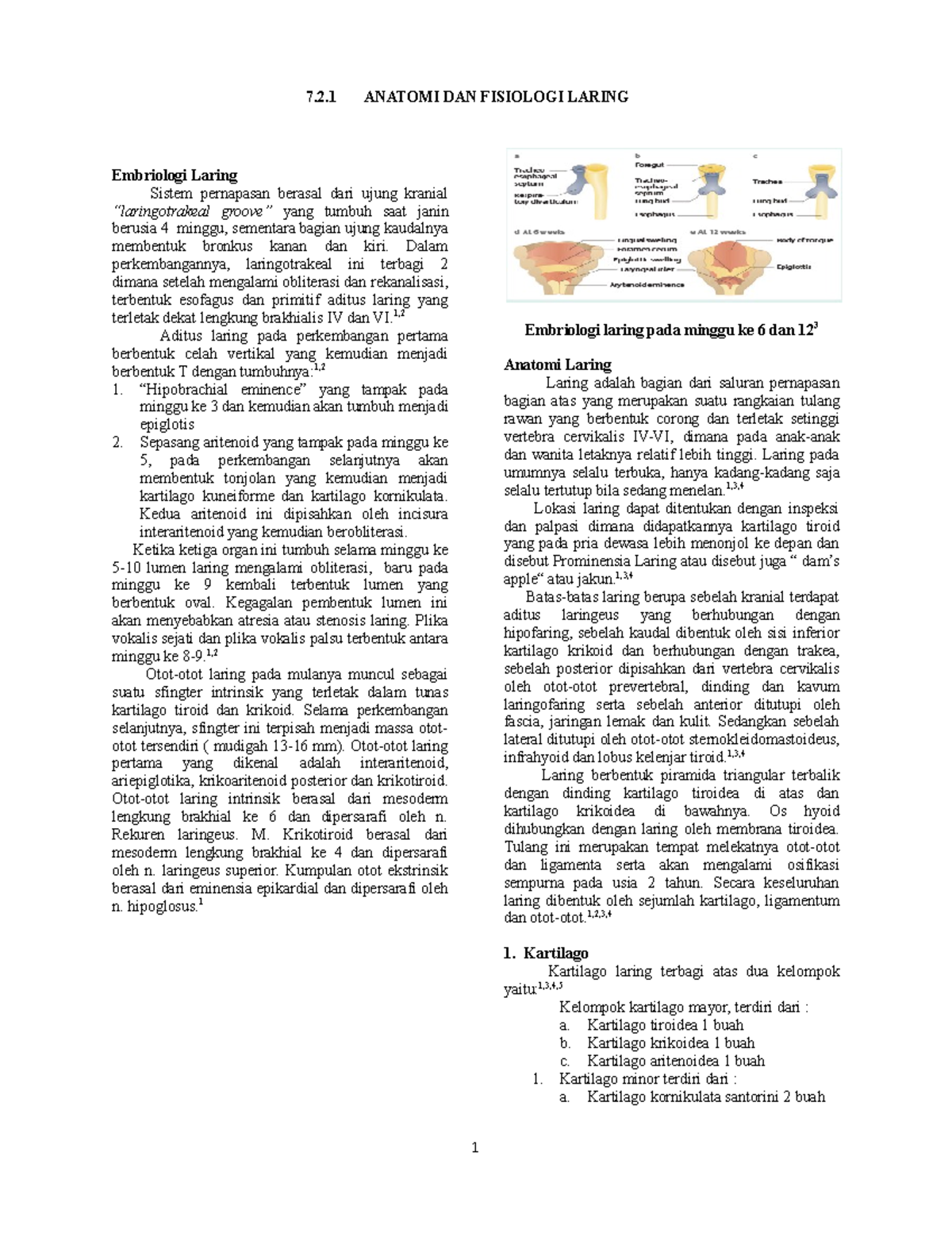 Anatomi dan Fisiologi Laring - Embriologi Laring Sistem pernapasan berasal dari ujung kranial ...