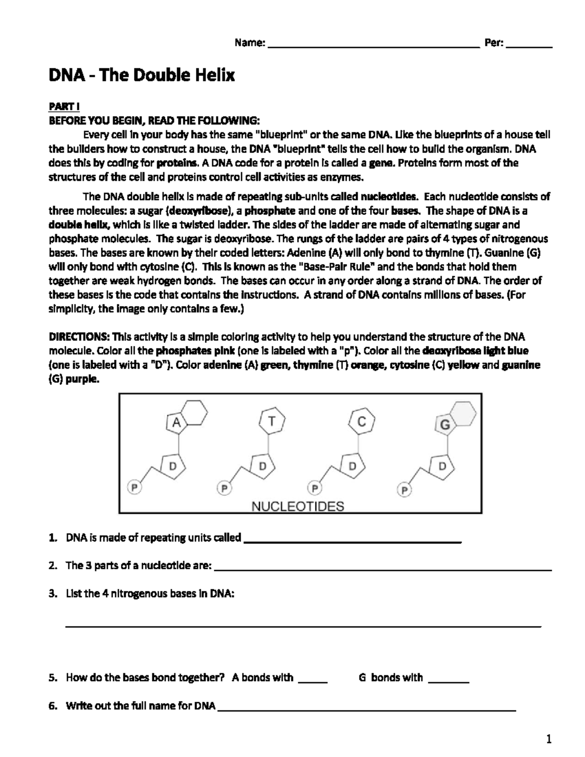 6A DNA Double Helix Coloring Activity and Questions - Studocu