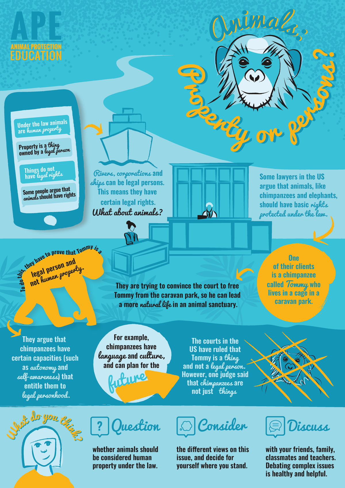 Legal Personhood for Animals: A Debate on Rights and Ownership - Studocu