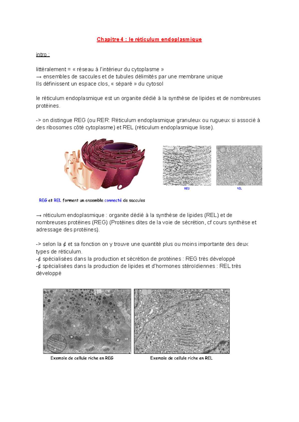 Chapitre 4 : Rôle du Réticulum Endoplasmique dans la Cellule - Studocu