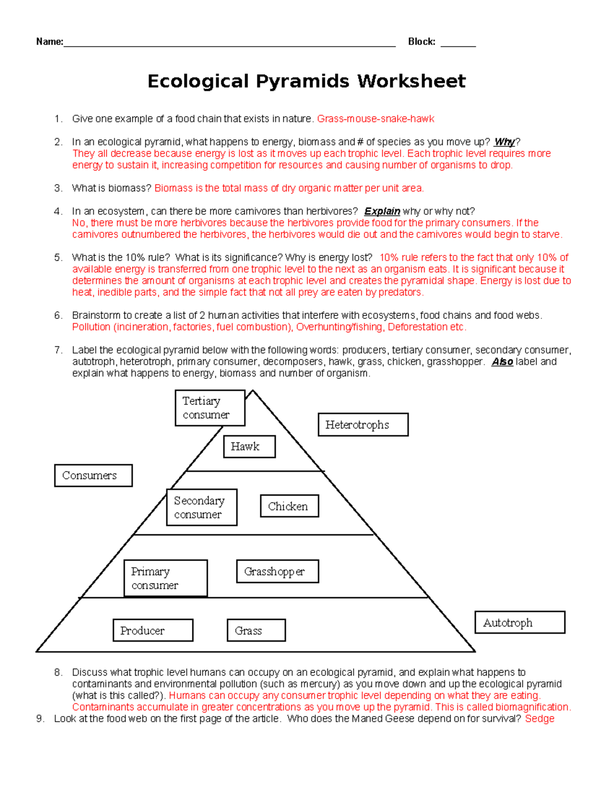 Ecological Pyramids Worksheet - Key Concepts & Sample Answers 2013 ...