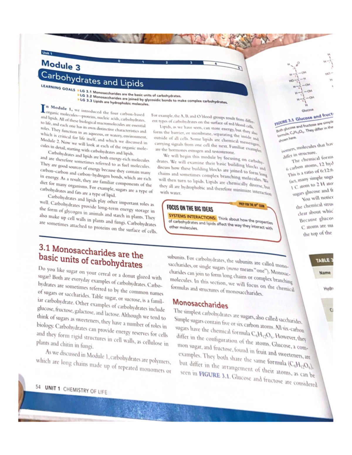 Module 3: Carbohydrates and Lipids - Key Concepts and Definitions - Studocu