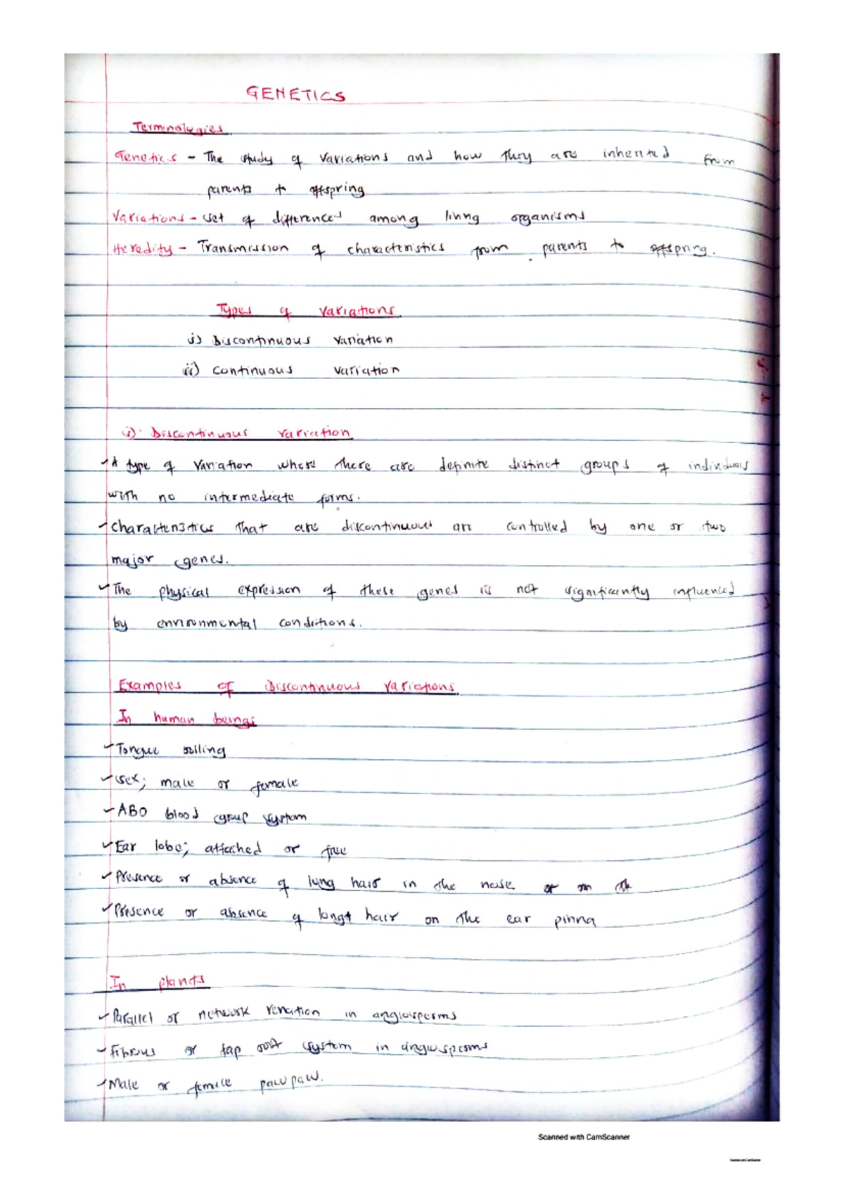 Genetics Notes: Understanding Chromosomes and DNA Structure - Studocu