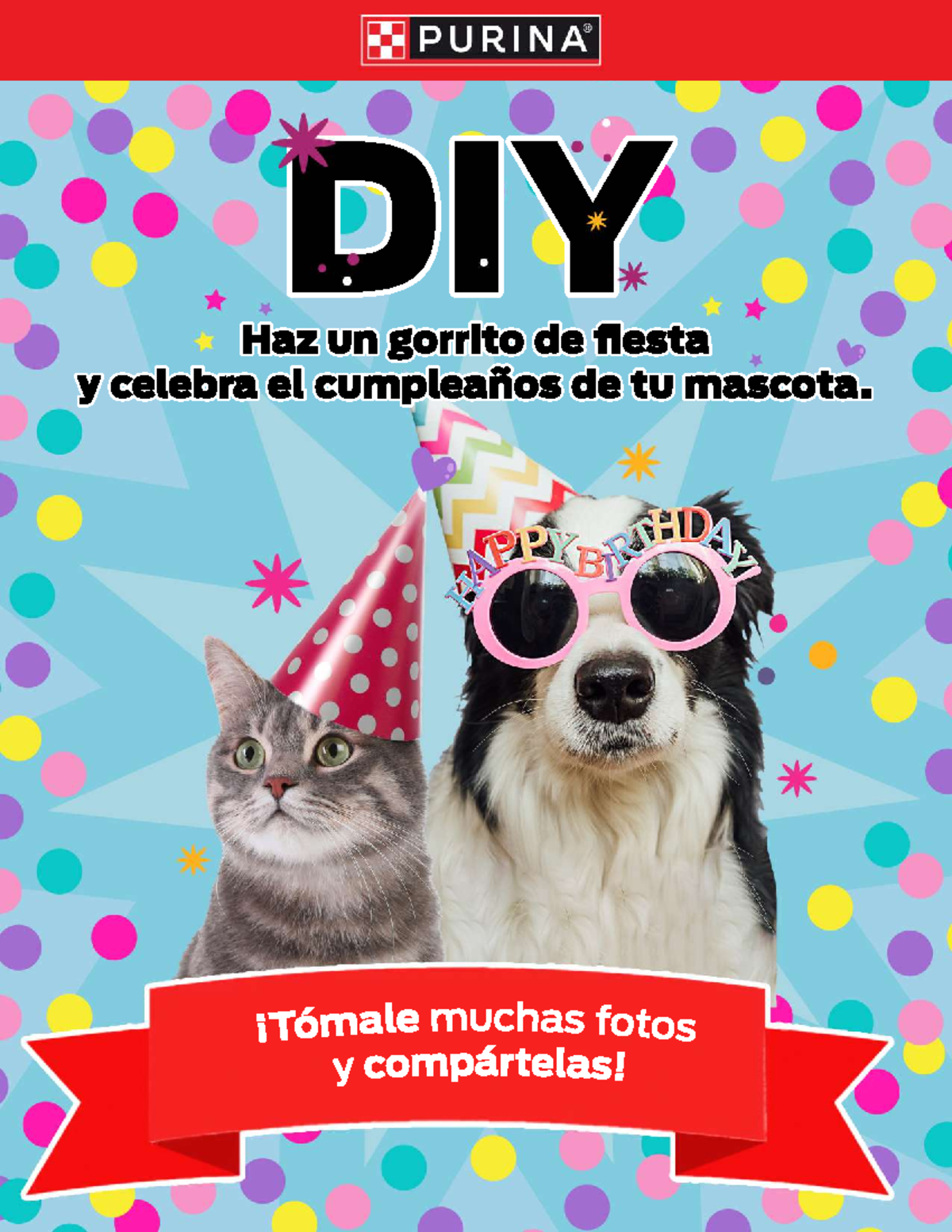 Purina-Value-Exchange-Bday-V02B compressed - estudios regionales ...
