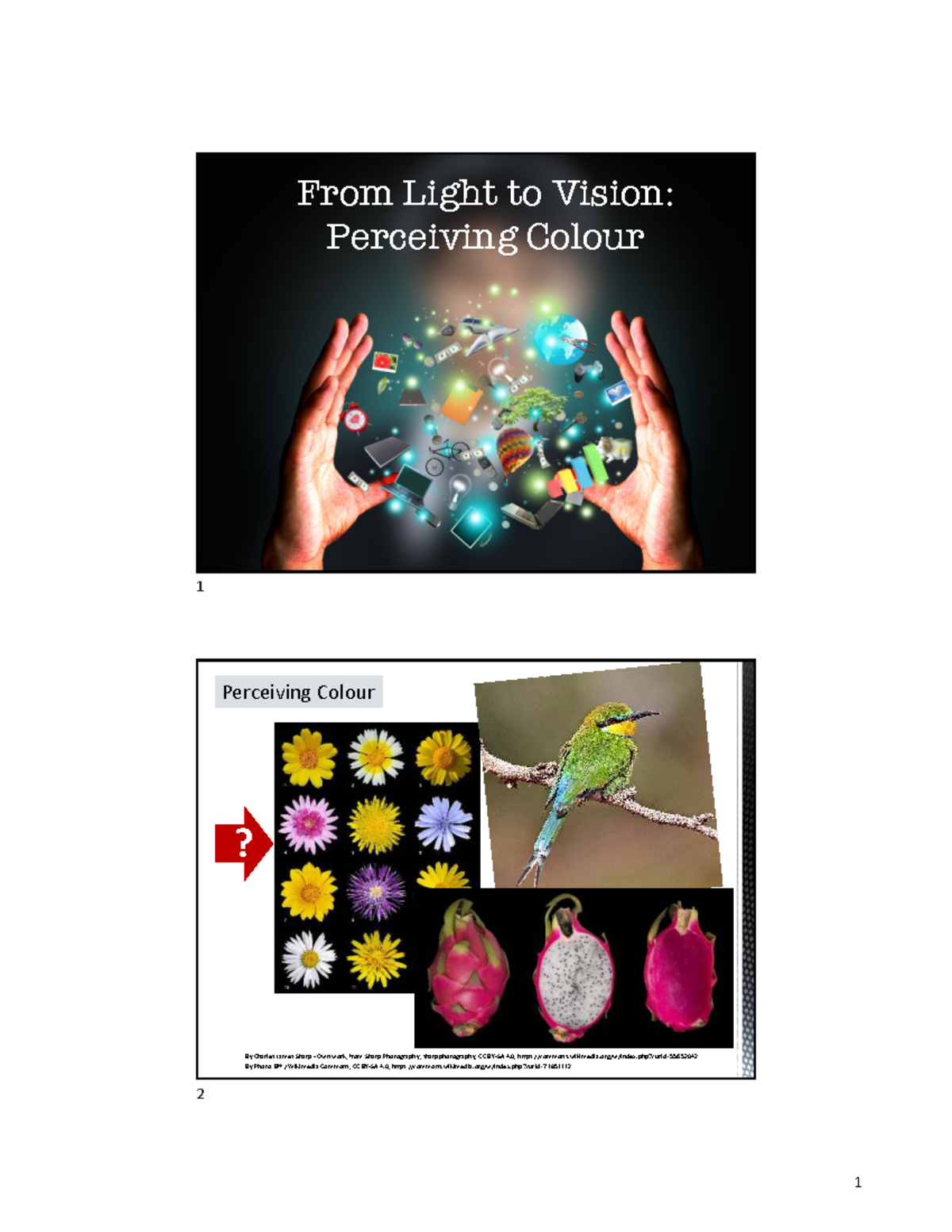 Lecture on Perceiving Colour: Theories Explained - Studocu