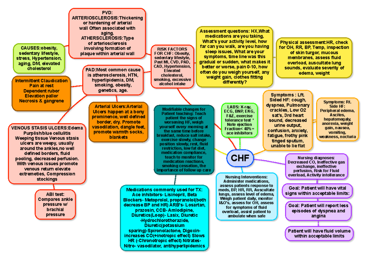 CHF Concept Map: Risks, Symptoms, Assessment & Management Strategies ...