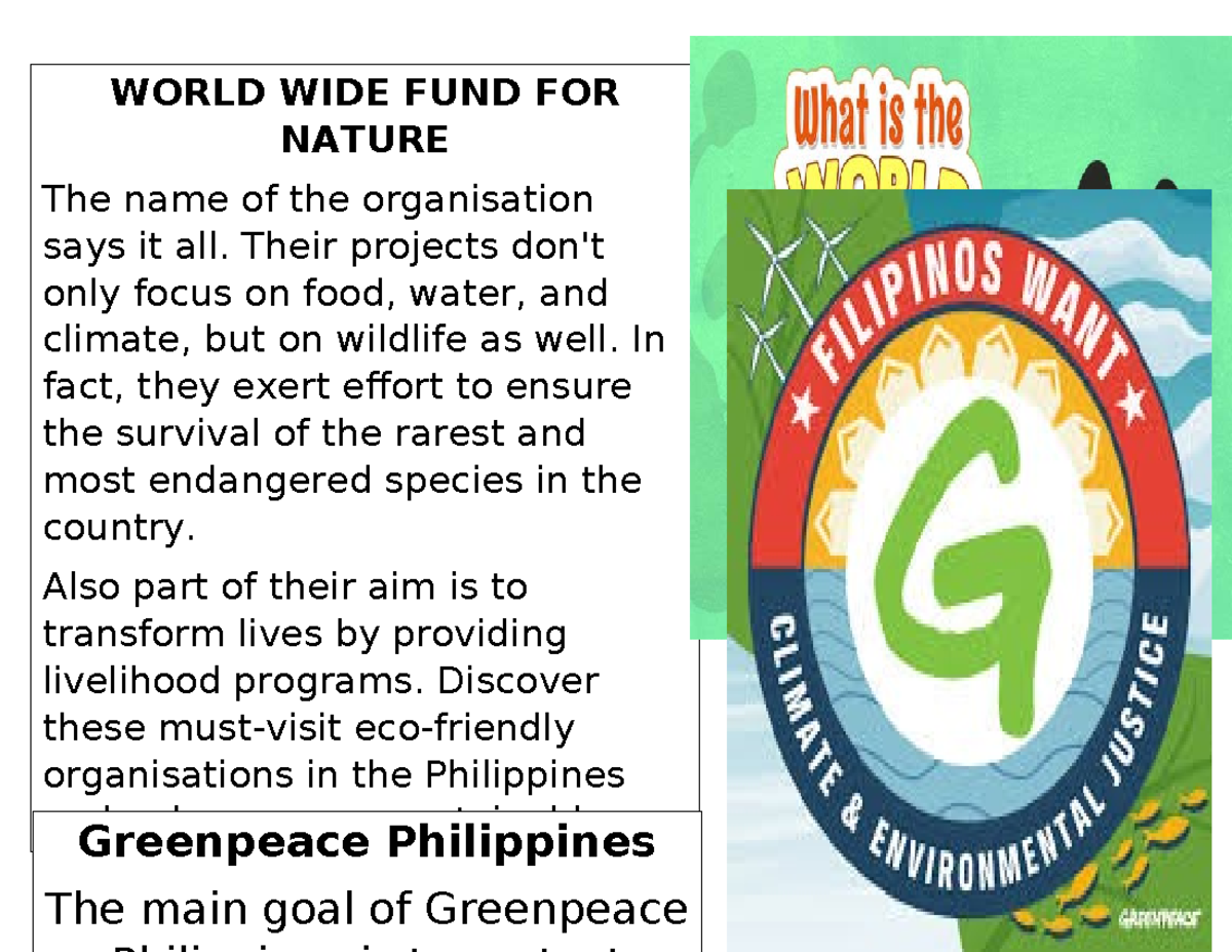 CSO - Lecture Notes About Civil Society Organization - ####### WORLD ...