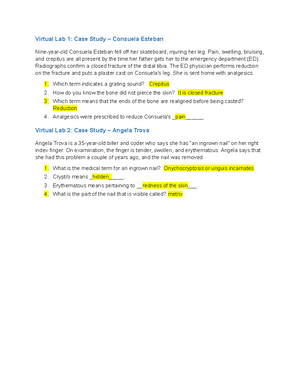 MOA110 W4 assignment - W4 Lab1 Worksheet: Managing Phone Calls and ...