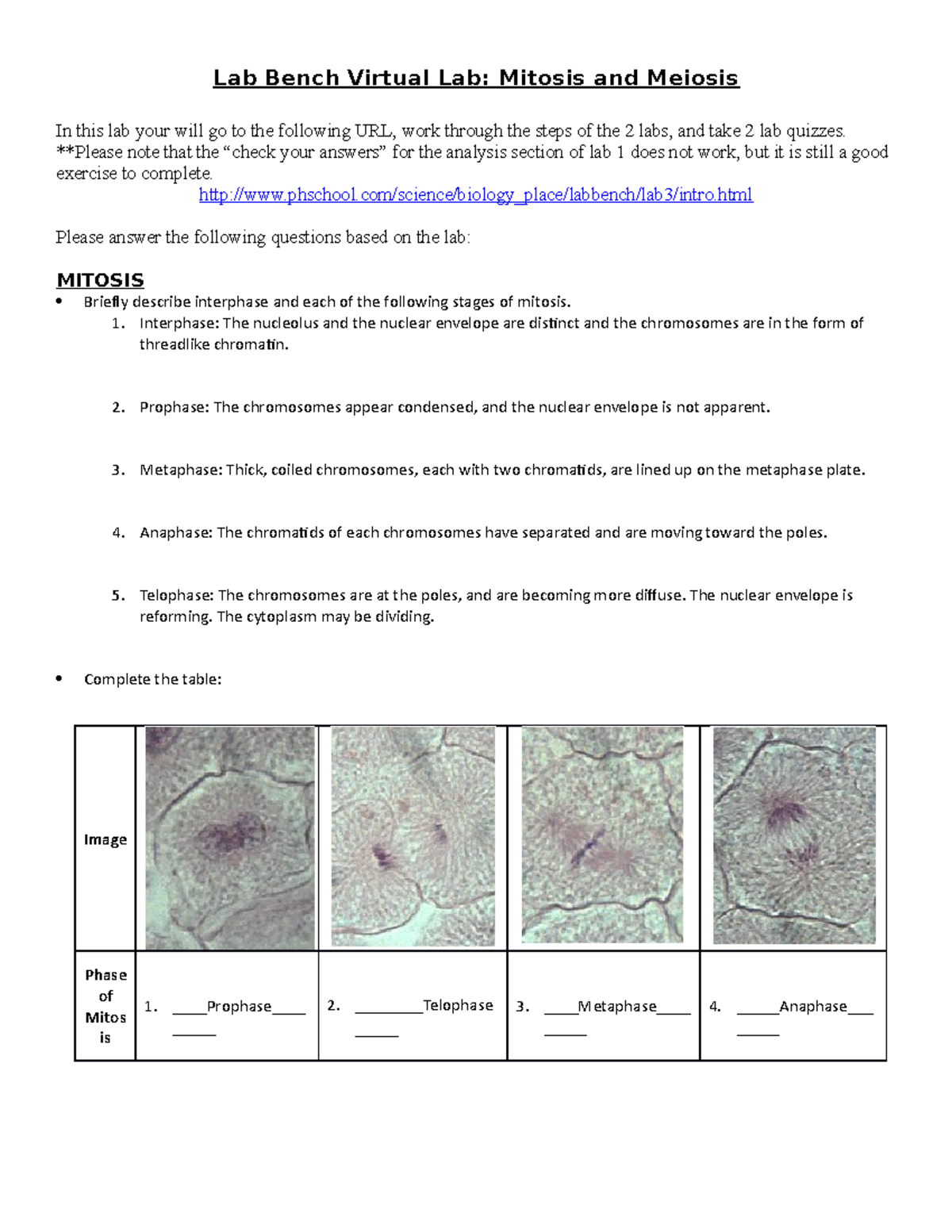 Mitosis and Meiosis Lab Bench Virtual Lab - Lab Bench Virtual Lab ...