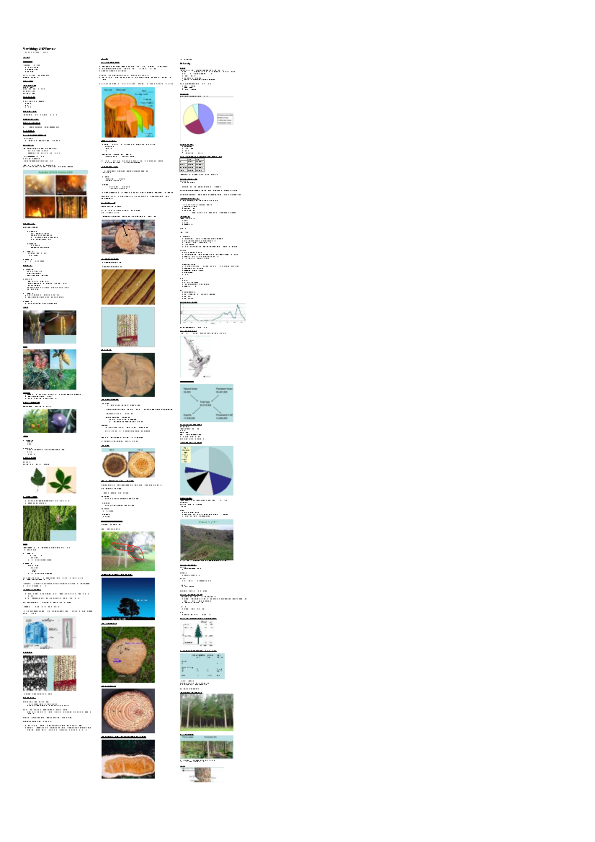Tree Biology & NZ Forestry: Lecture Notes on Forest Types and ...