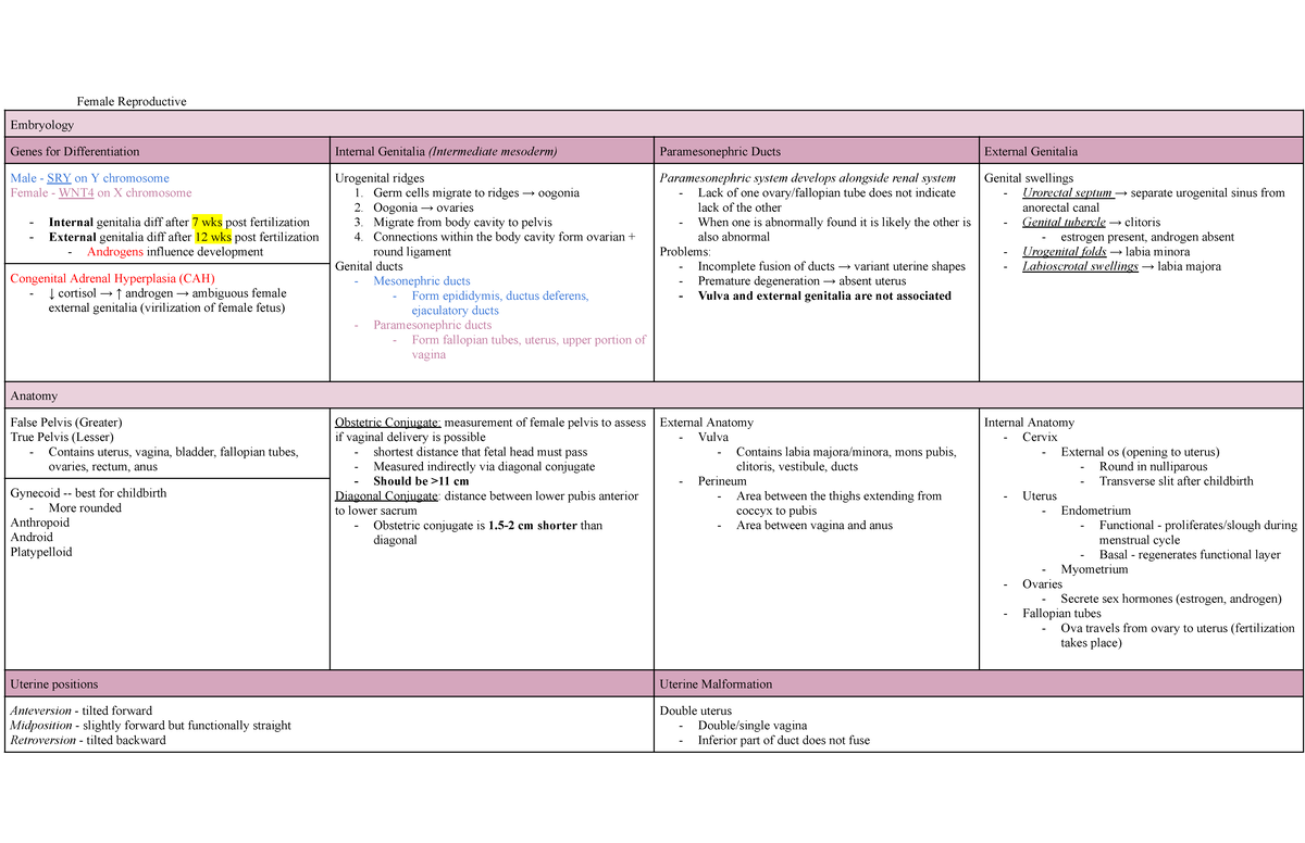 PMS 3 - Exam 1 - Pms 3 exam study guide - Female Reproductive ...