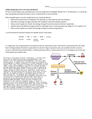DNA Gizmo - Name: Date: 01/25/ Student Exploration: Building DNA ...