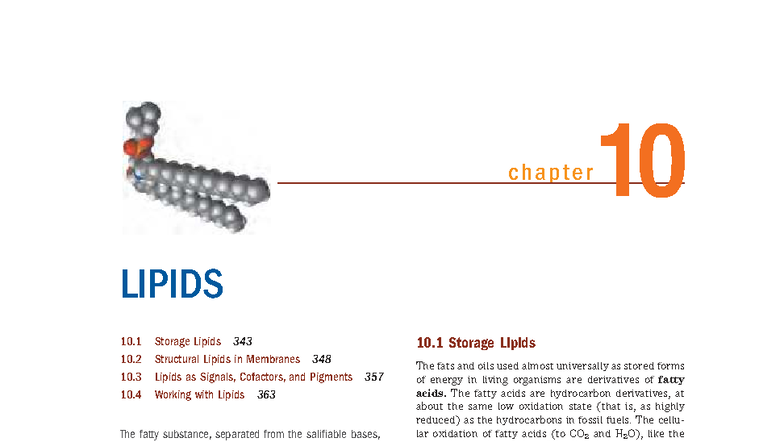 Lehninger Biochemistry: Chapter 10 - Lipids Overview and Functions ...