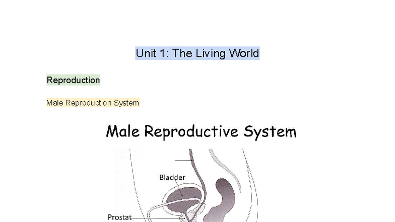 Unit 1: The Living World - Reproduction & Genetics Notes - Studocu