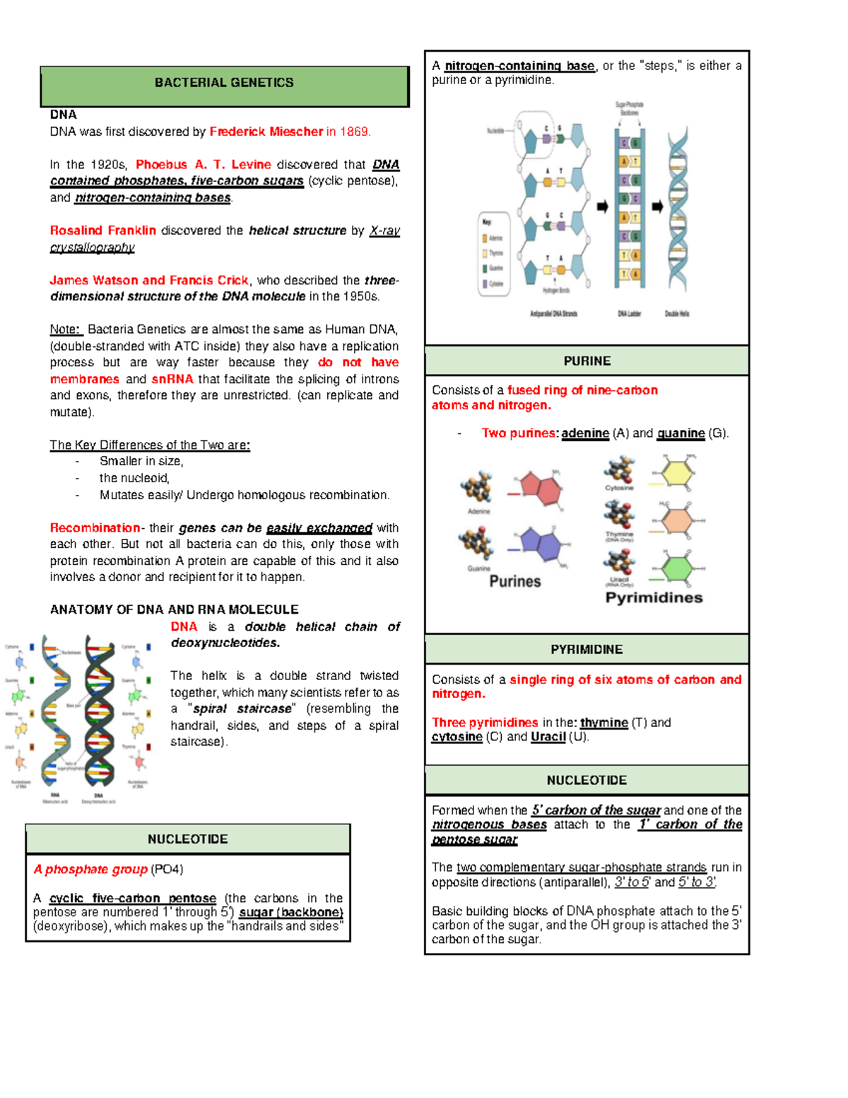 Bacte | WEEK 4 | Overview of Bacterial Genetics & DNA Structure - Studocu
