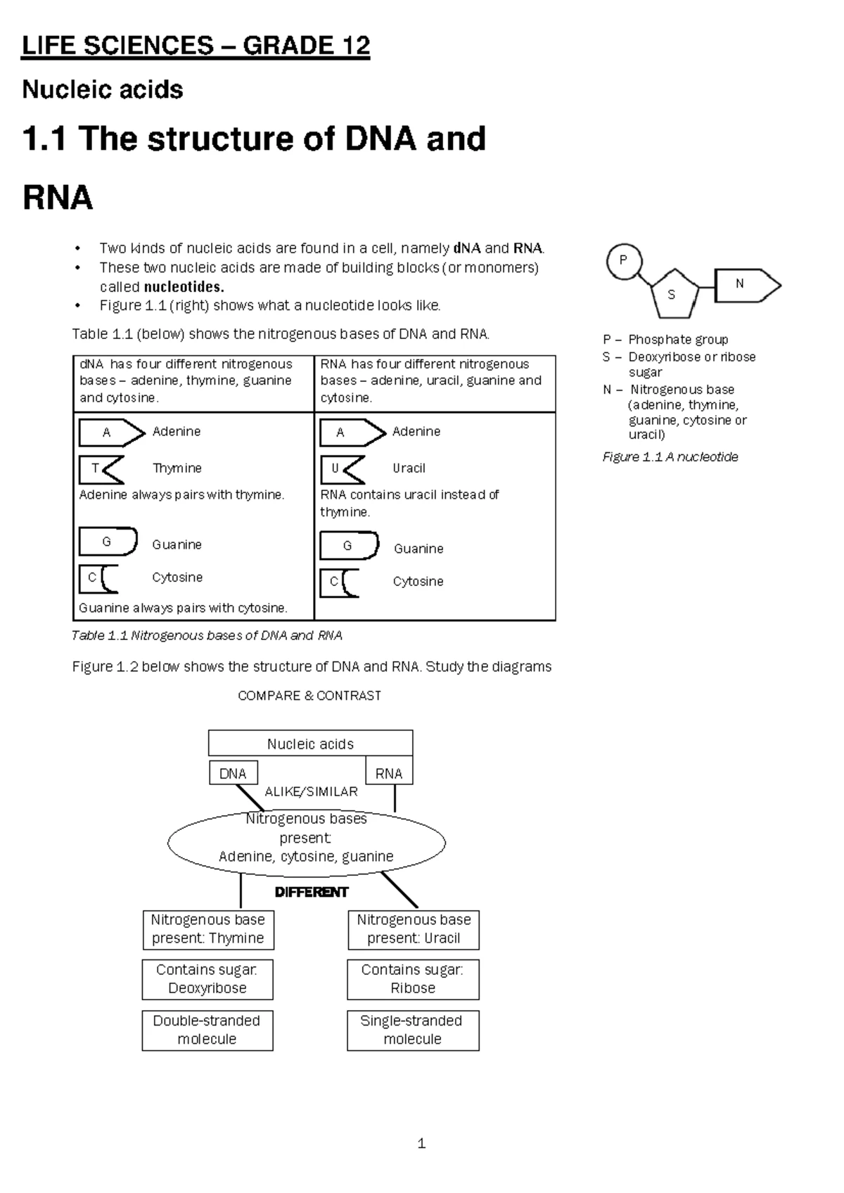 LIFE Sciences - Grade 12 Notes - LIFE SCIENCES – GRADE 12 LIFE SCIENCES ...