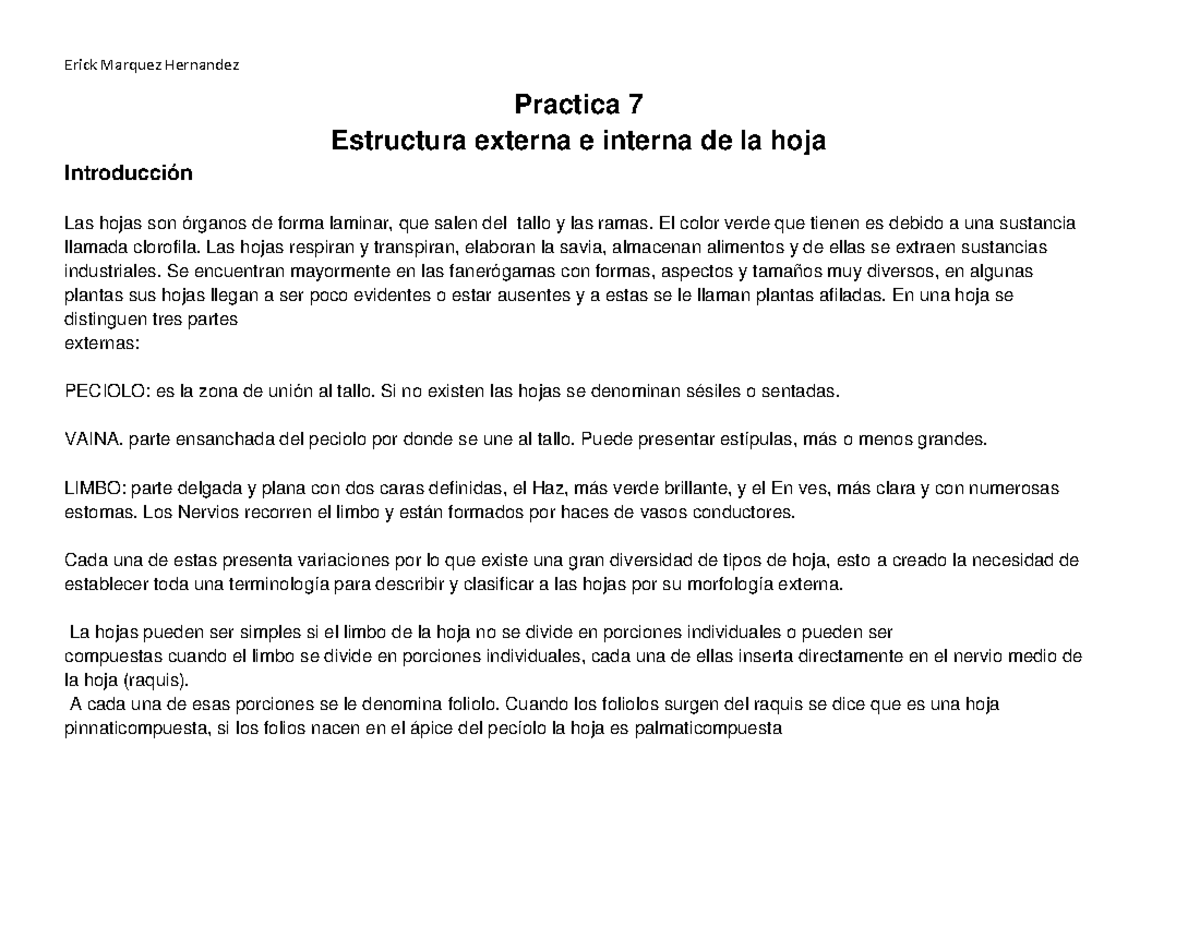 Práctica 7. EMH - Estructura externa e interna de la hoja - Practica 7 Estructura externa e ...