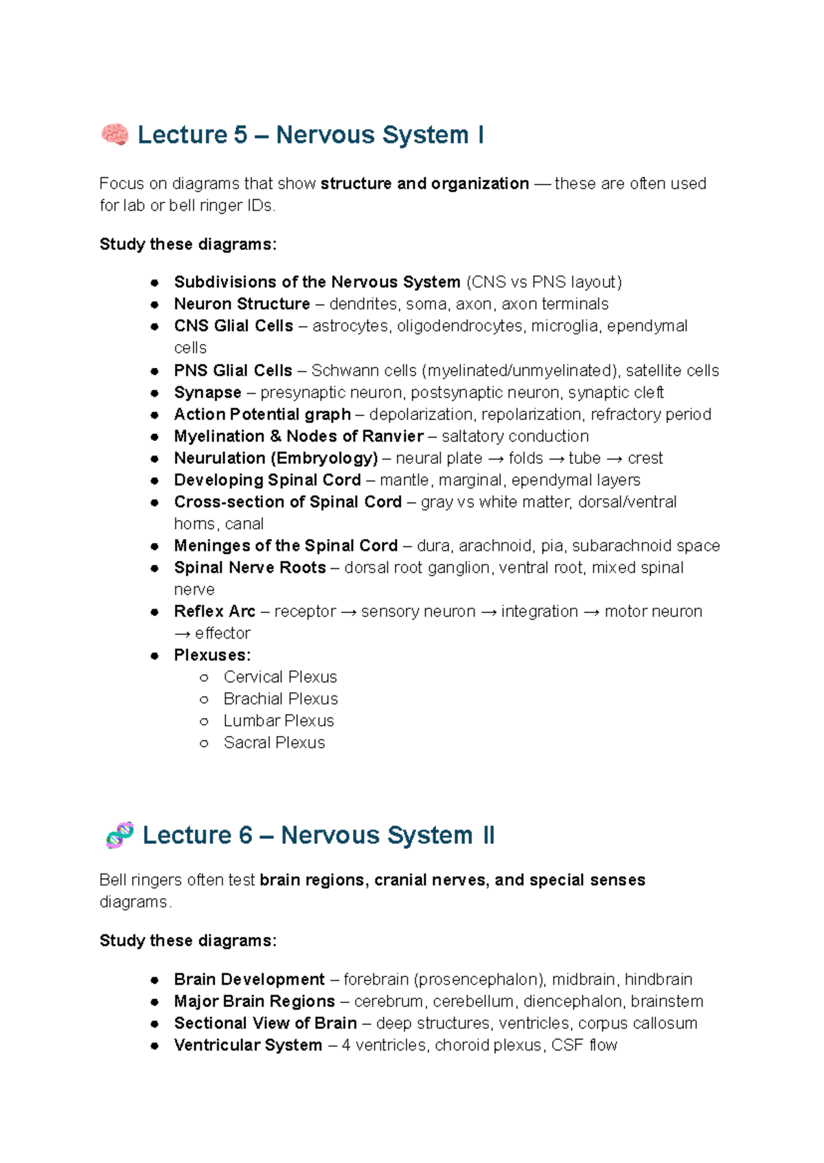 Lecture 5: Nervous System I - Diagrams & Key Concepts - Studocu