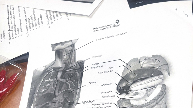 BIO151 Lab Practical 2 Study Guide - Sp2025 - Studocu
