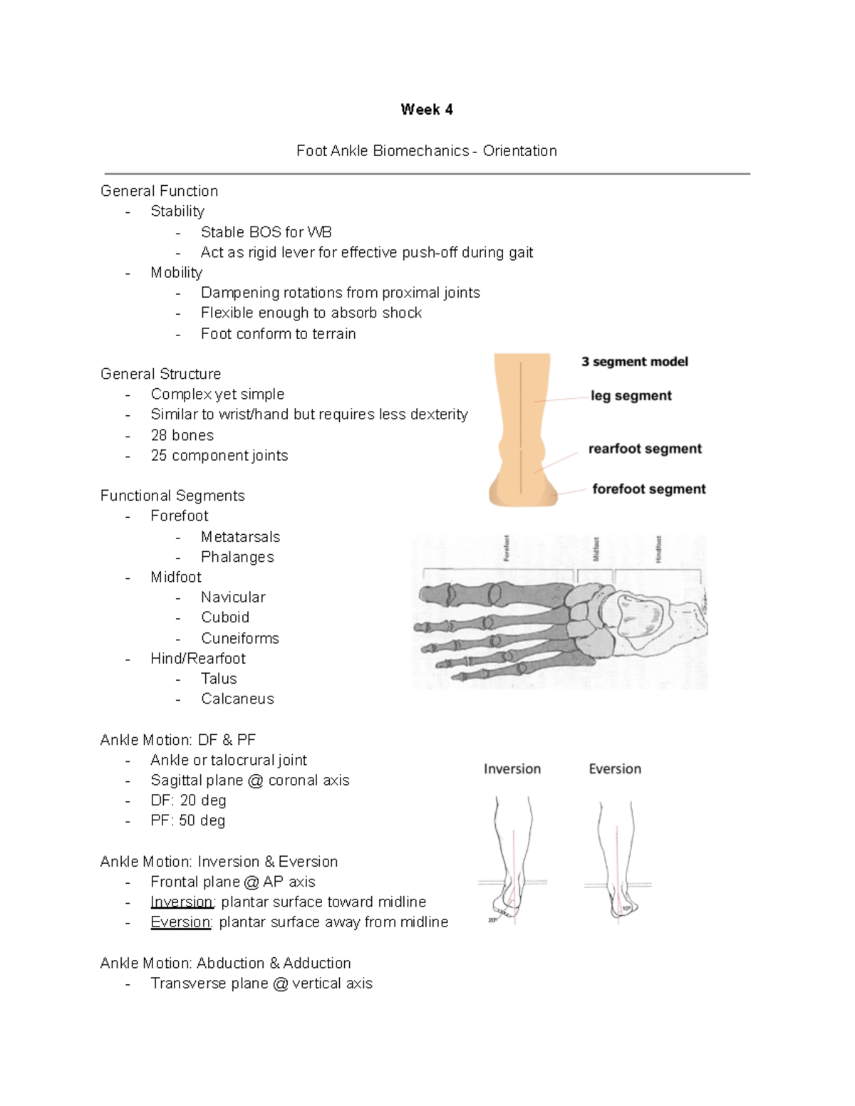 MSK II - Exam 2: Comprehensive Guide to Foot & Ankle Biomechanics - Studocu