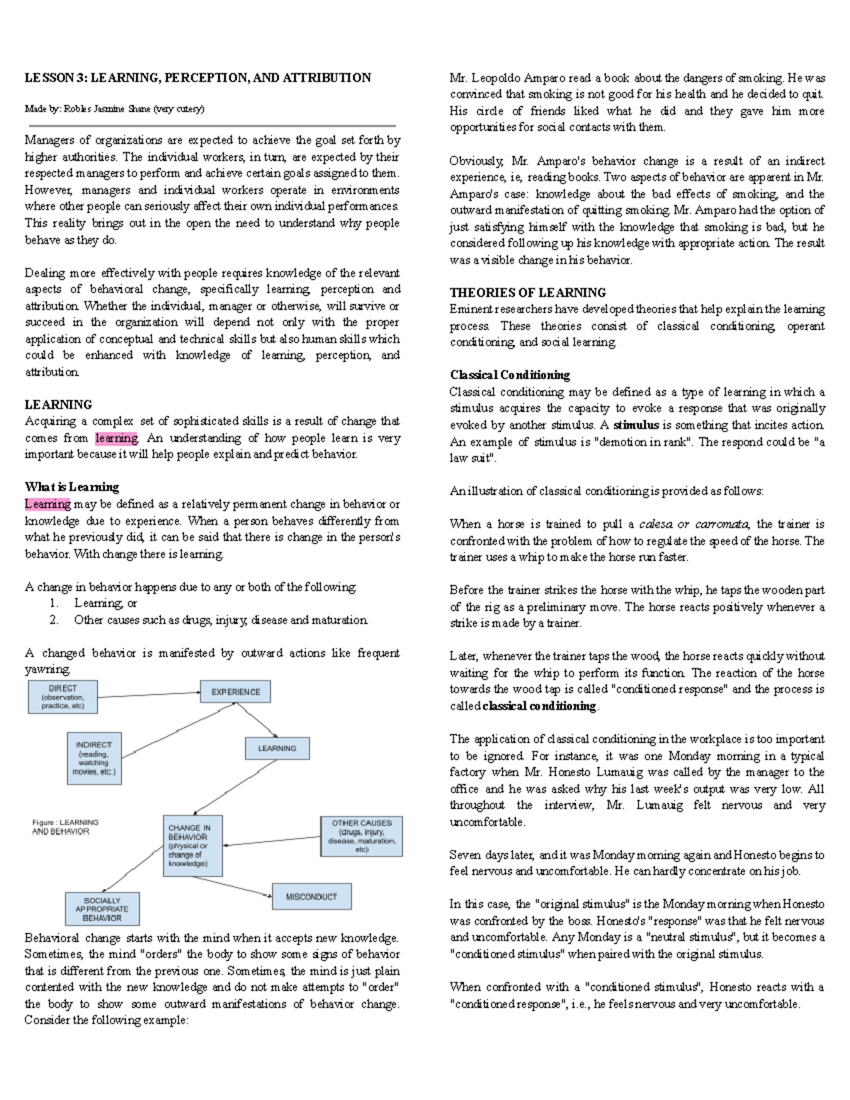 L3 HBO - Lesson 3: Learning, Perception, and Attribution in Organizations - Studocu