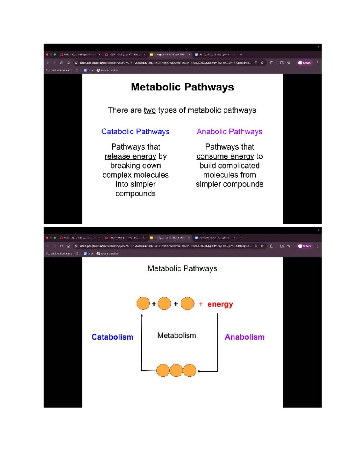 Unit 3: Quiz on Enzymes and Energetics (AZ 10/27-10/28) - Studocu