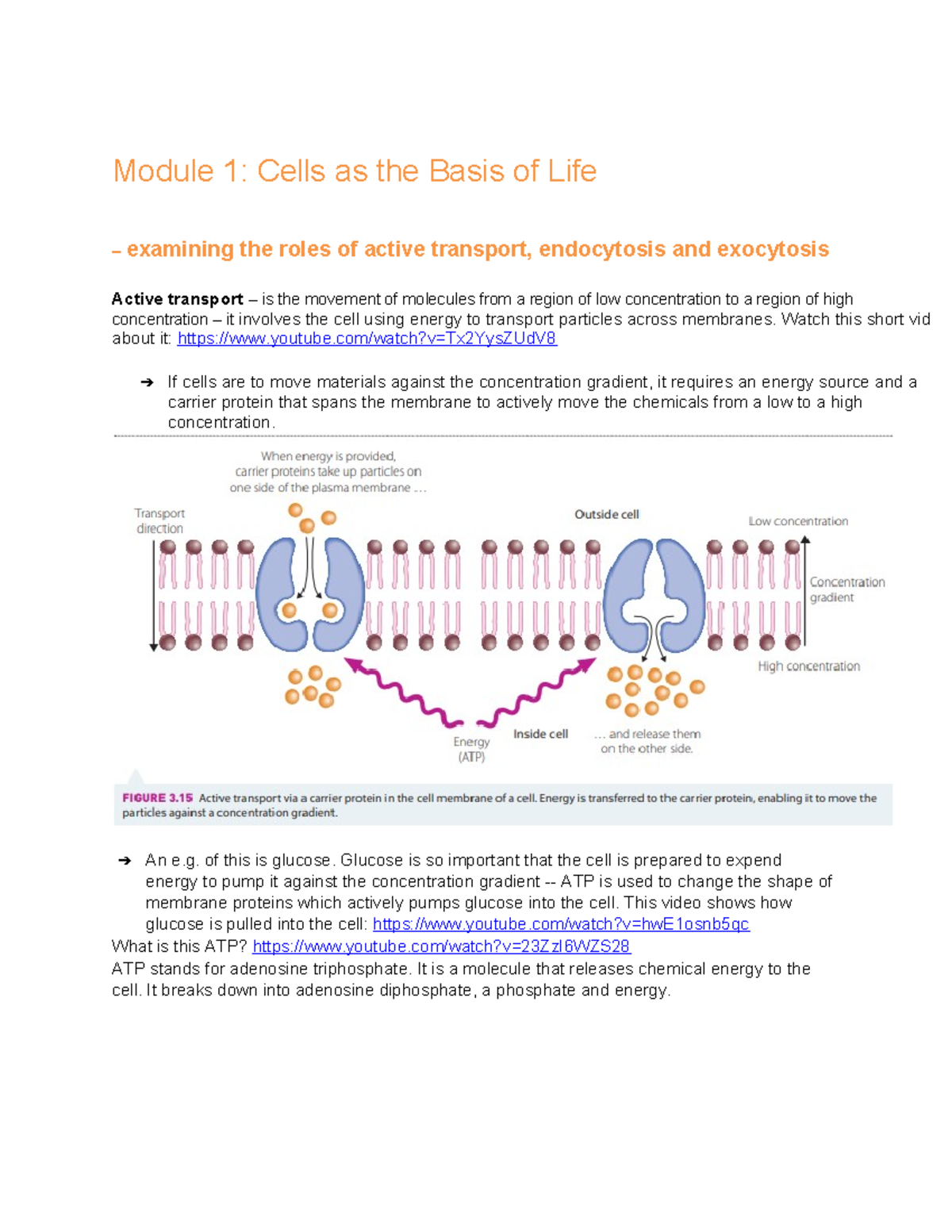Module 1: Biology Notes - Lesson 4 on Active Transport & Cell Processes ...