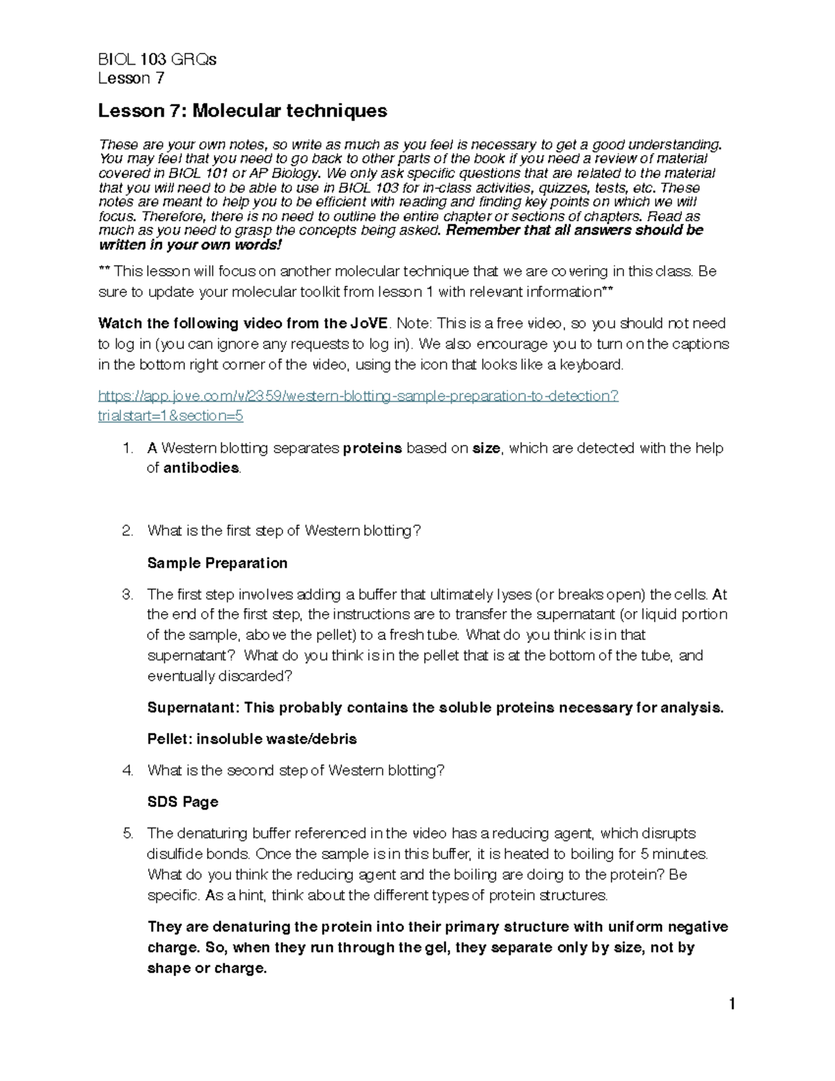 BIOL 103 Lesson 7: Understanding Molecular Techniques and Western ...