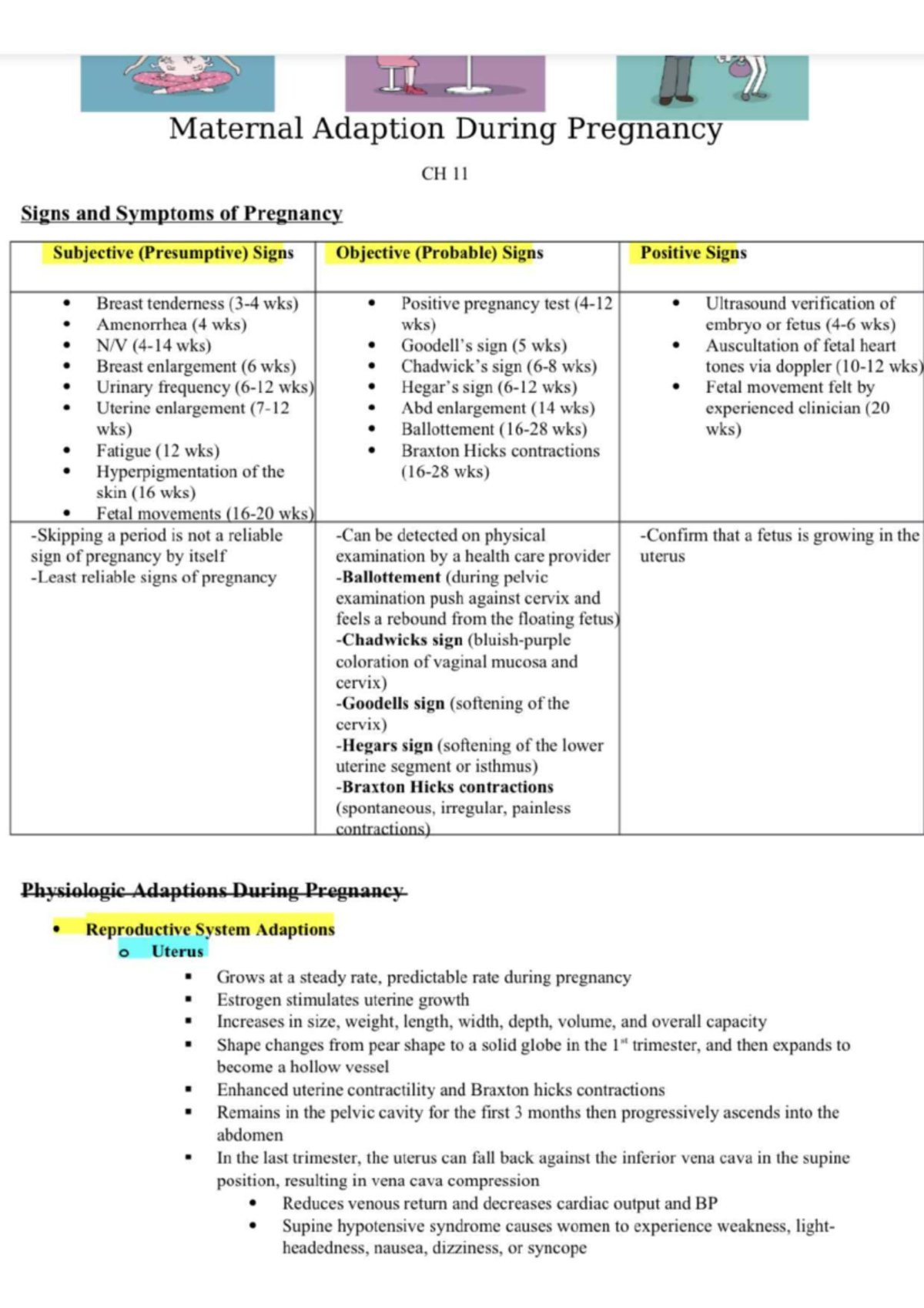 Maternal Adaptation During Pregnancy: CH 11 Signs & Symptoms (Nursing ...
