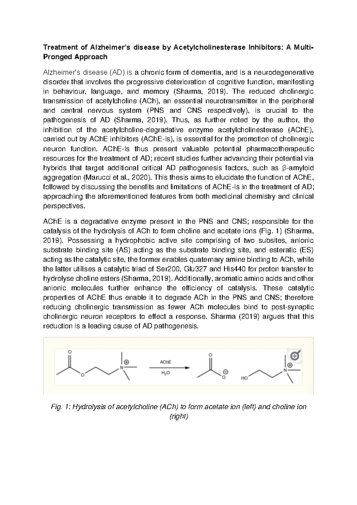 Acetylcholinesterase Inhibitors in Alzheimer's Disease: A Comprehensive ...
