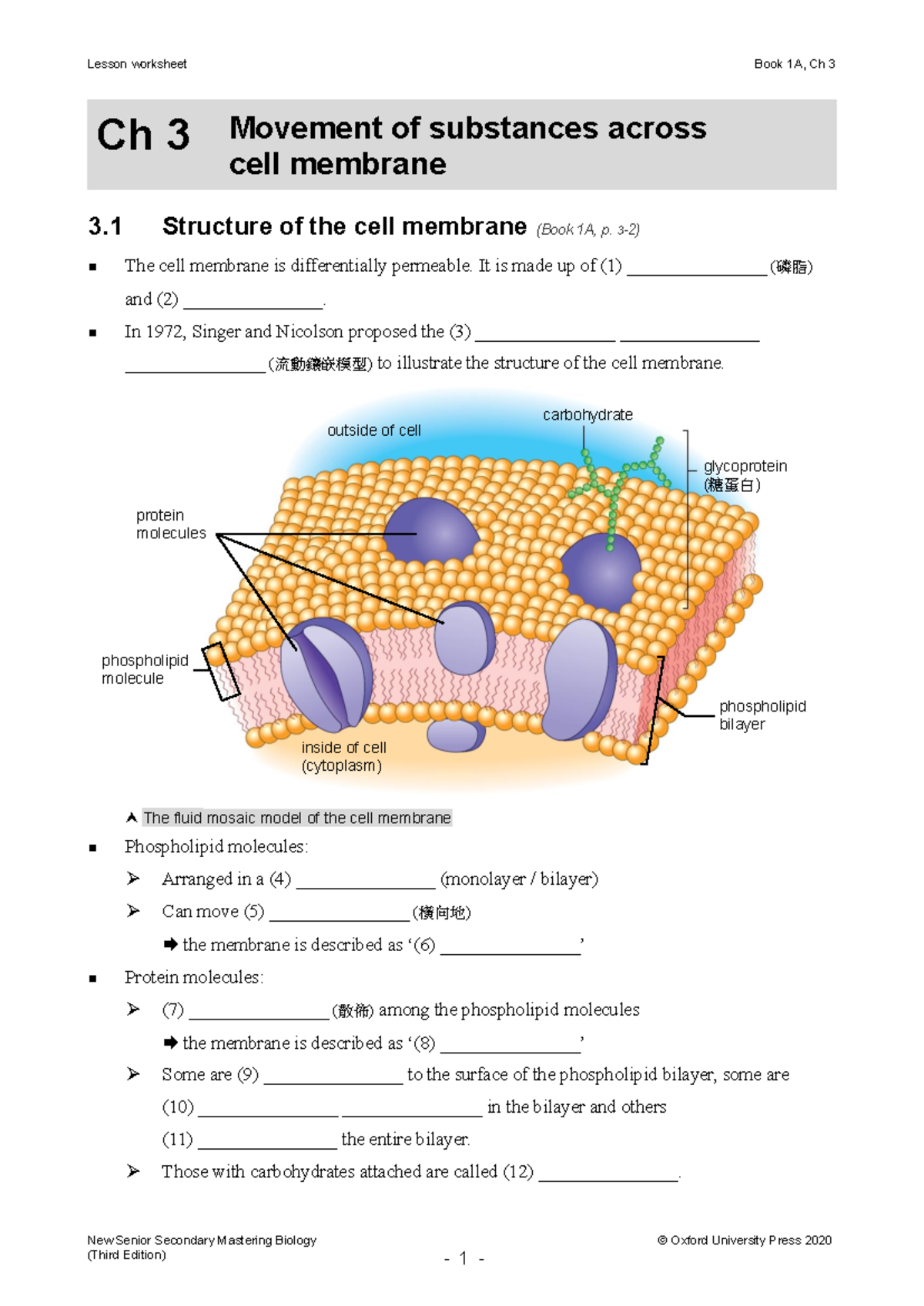 Ws CH3 e Students - Notes on Cell Membrane Structure and Function - Studocu