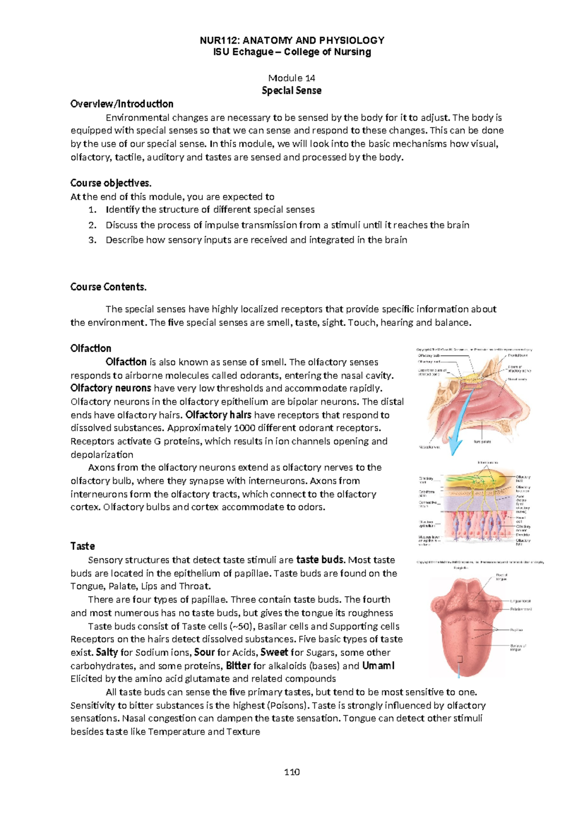 NUR112: Anatomy and Physiology Module 14 - Special Senses Overview ...