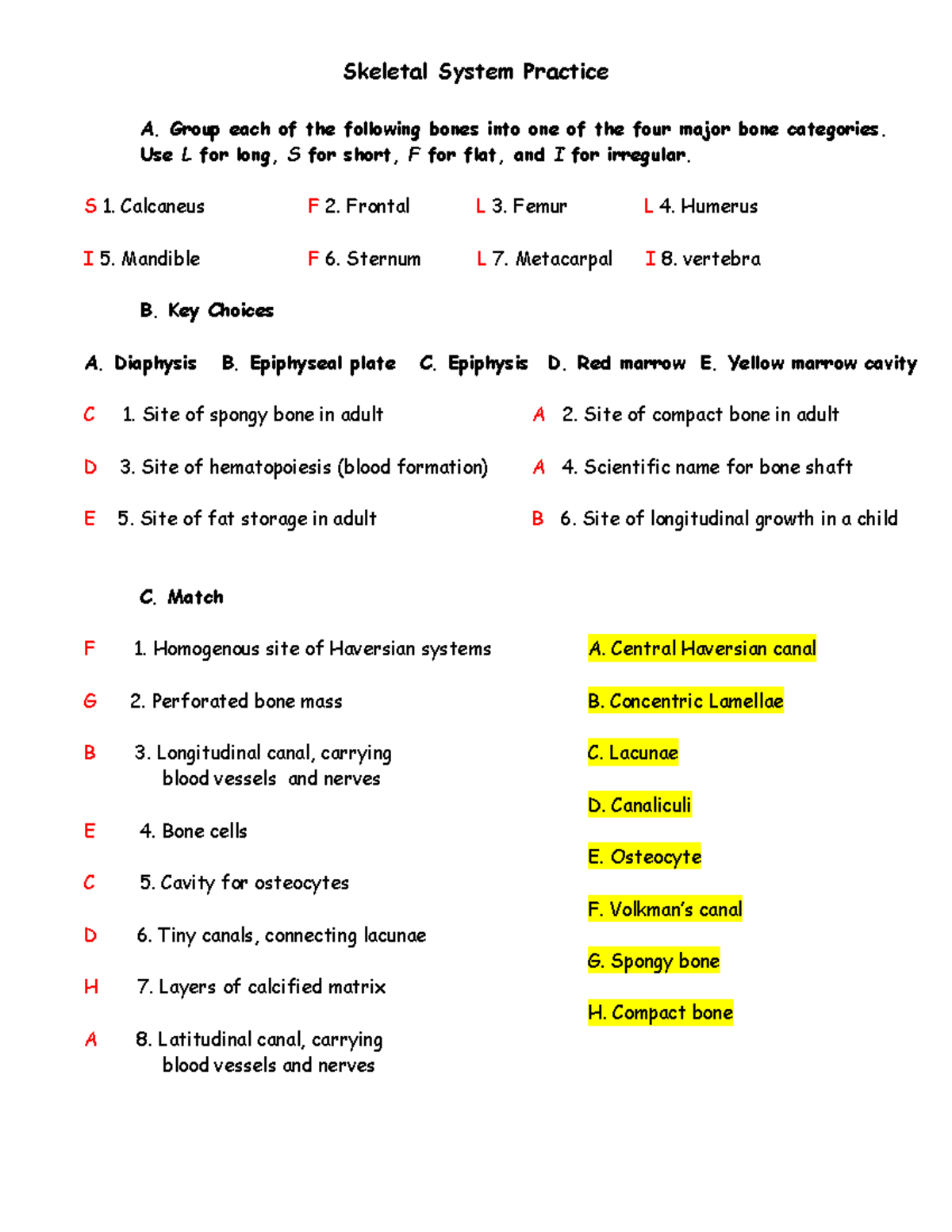 Skeletal System Practice Questions and Labeling Guide - Studocu