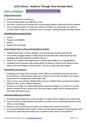 Edexcel GCSE History Medicine Through Time Exam Technique - Google Docs ...
