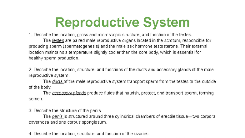 Reproductive System Study Guide: Key Concepts & Phases - Studocu