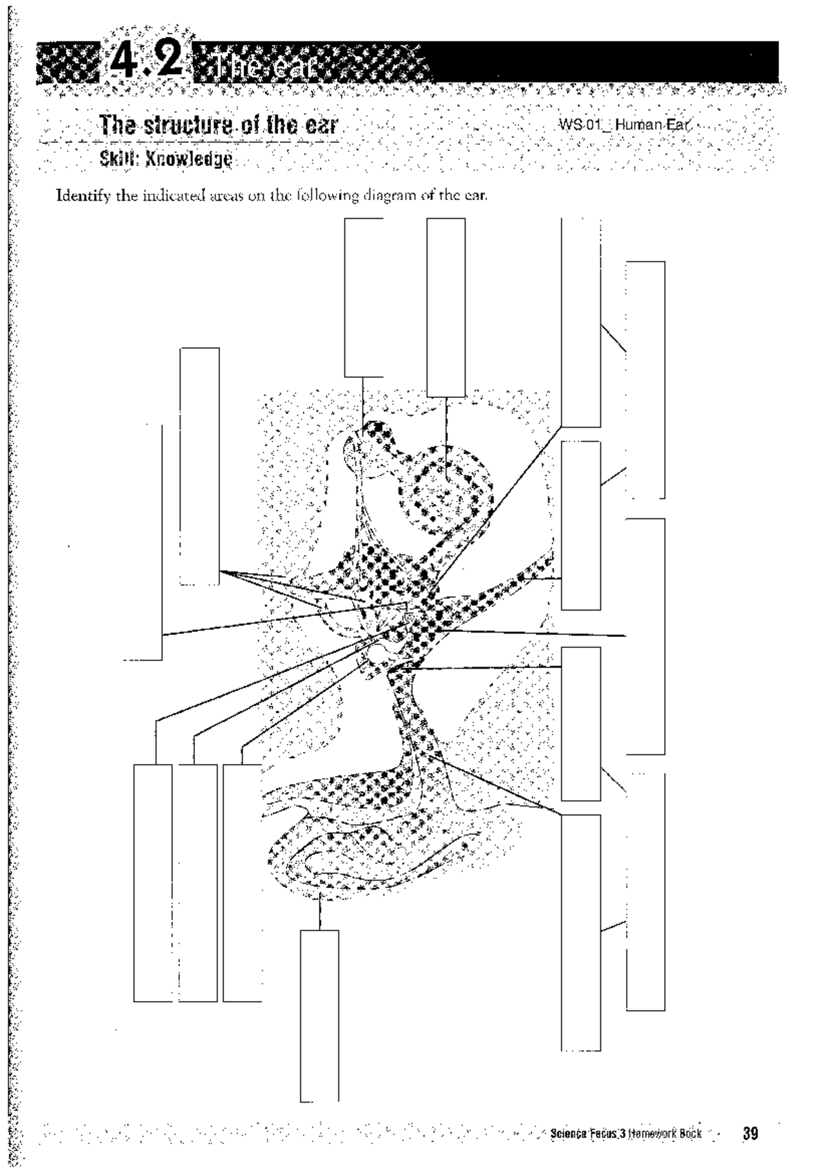 01 Human ear - worksheet - 4 The ear The structure of the ear WS 01 ...