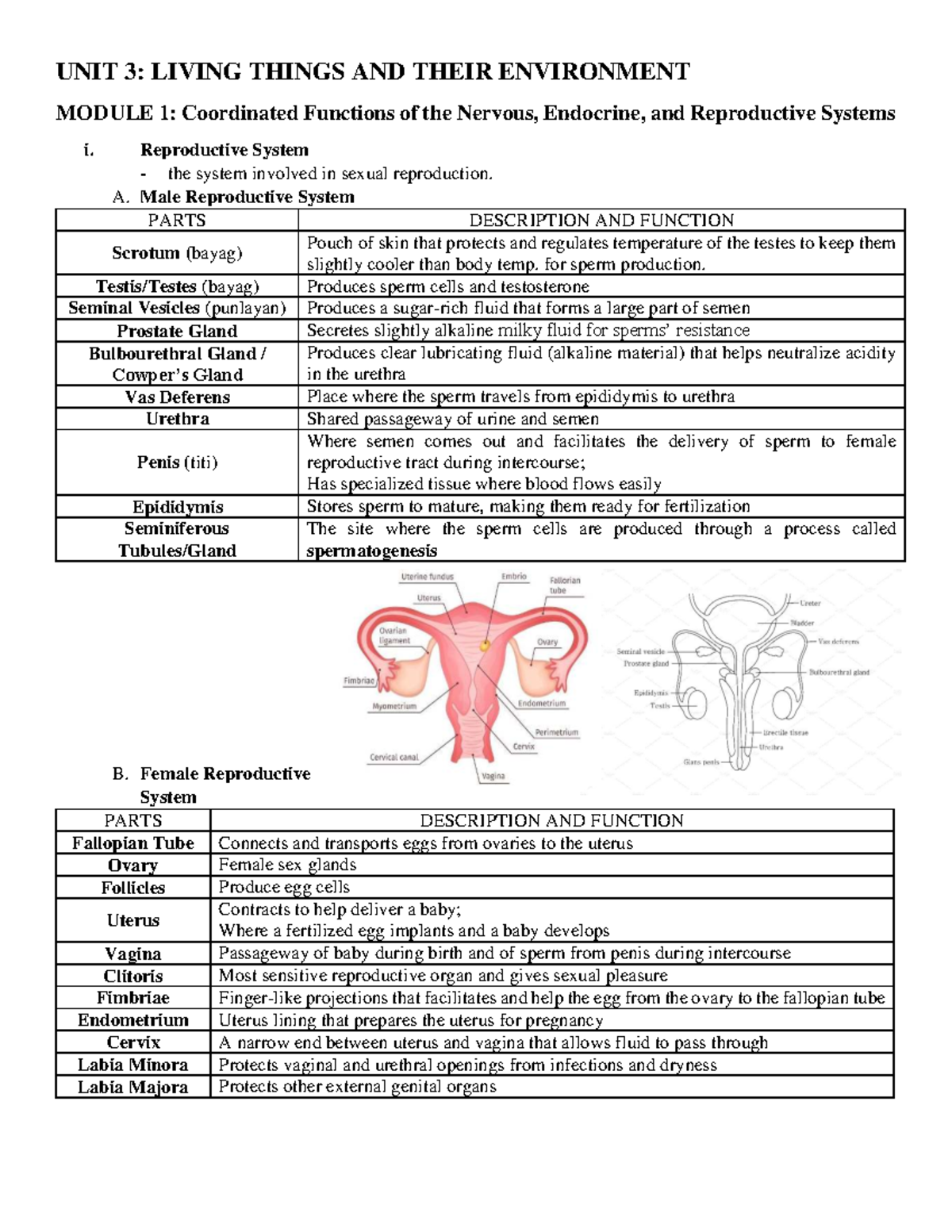 Science Q3 (Short) - Notes on Living Things & Their Environment - Studocu