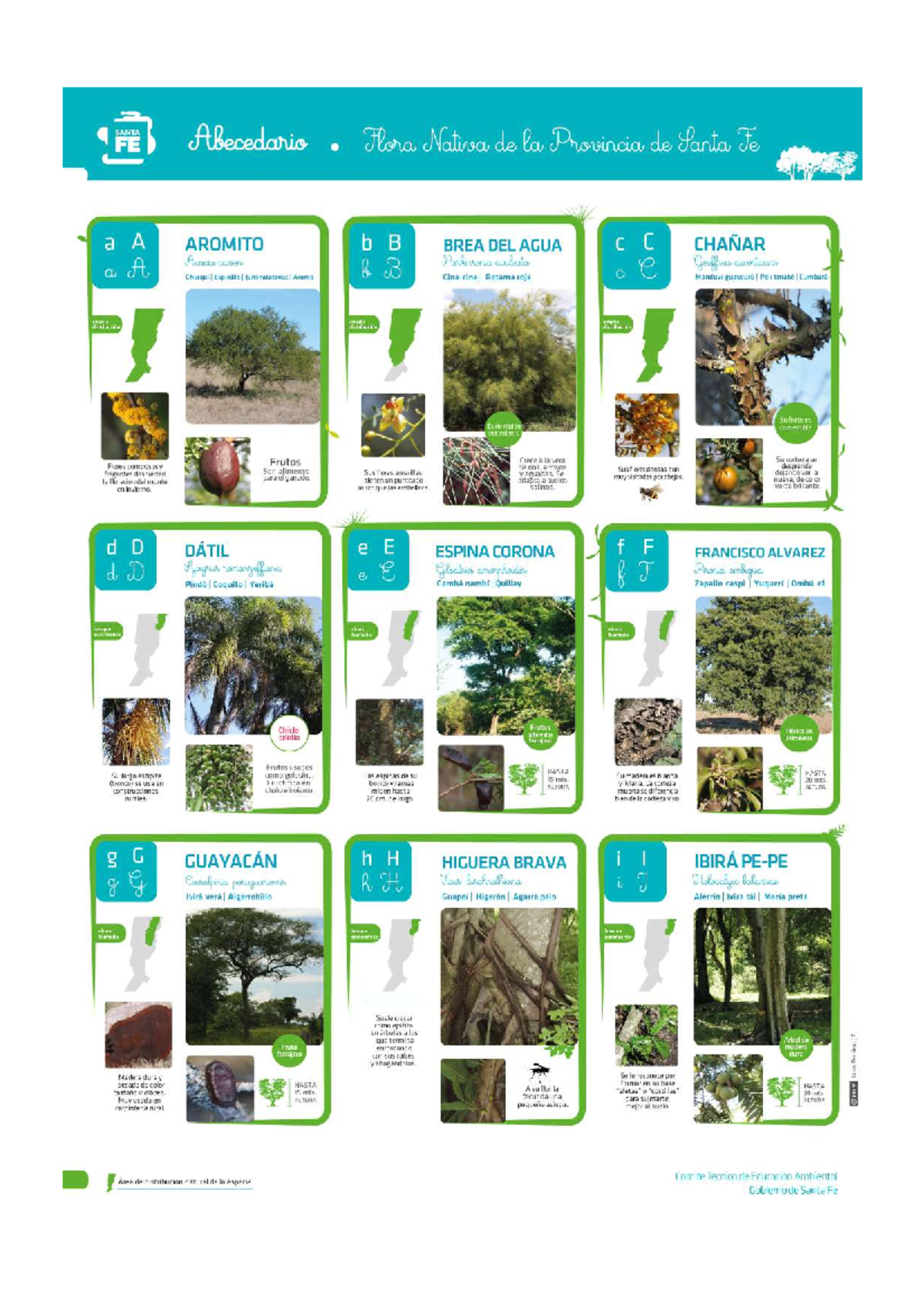 Abc-Flora Nativa de Santa Fe - Póster Educativo Completo - Studocu