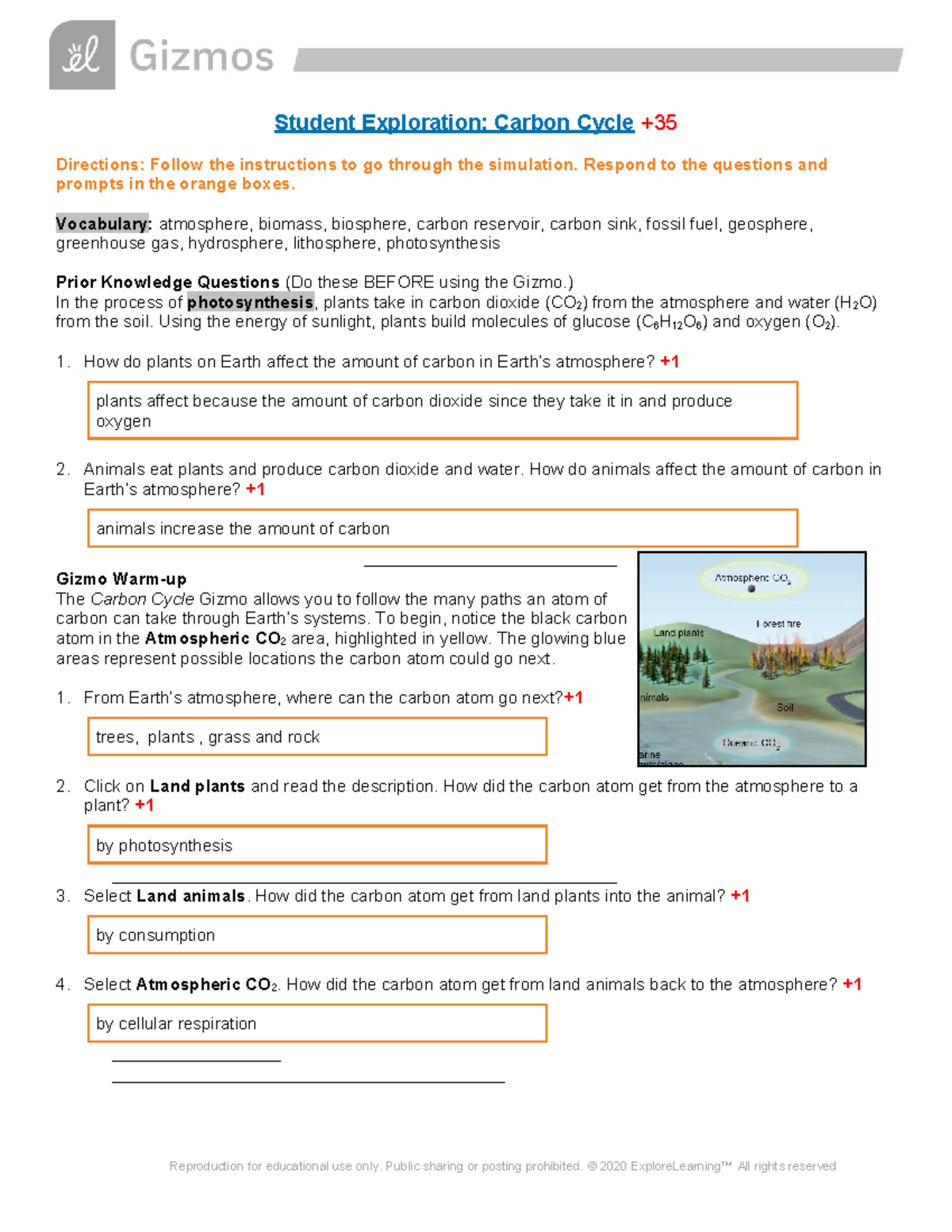 Carbon Cycle Gizmo Exploration: Student Guide (Part 1) - Studocu