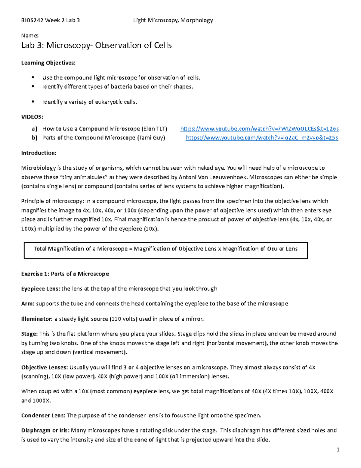 Lab 3: Microscopy - Observing Cells and Bacteria Techniques - Studocu